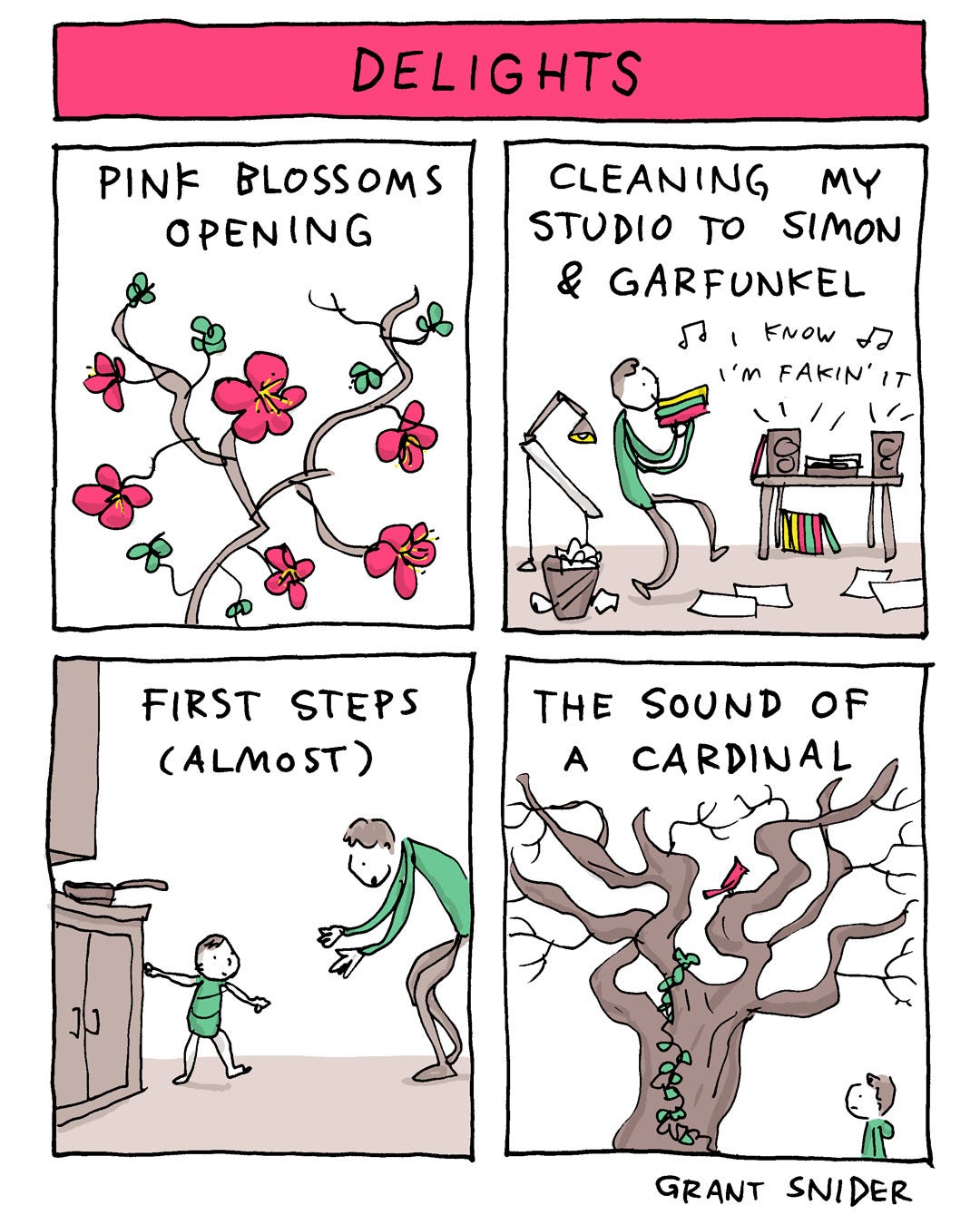 A Collection of Delights - by Grant Snider