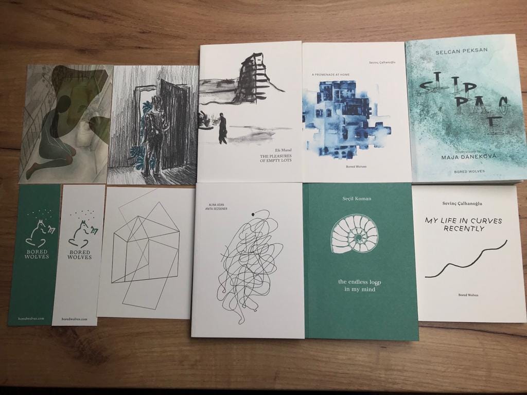 Poetry into Turkey Earthquake Aid - by Stefan Lorenzutti