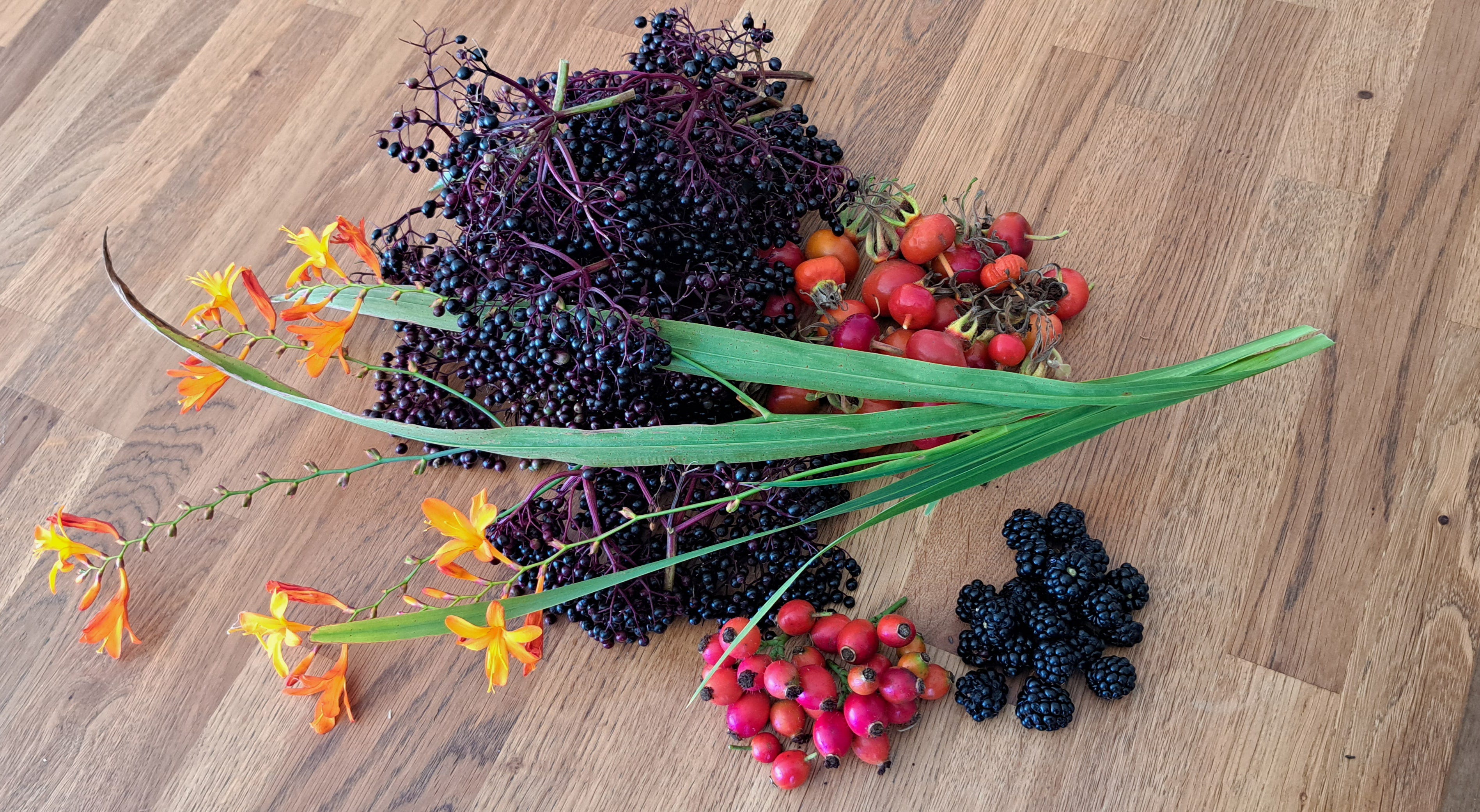 Plant Generosity & Negative Reciprocity - by Ali Isaac