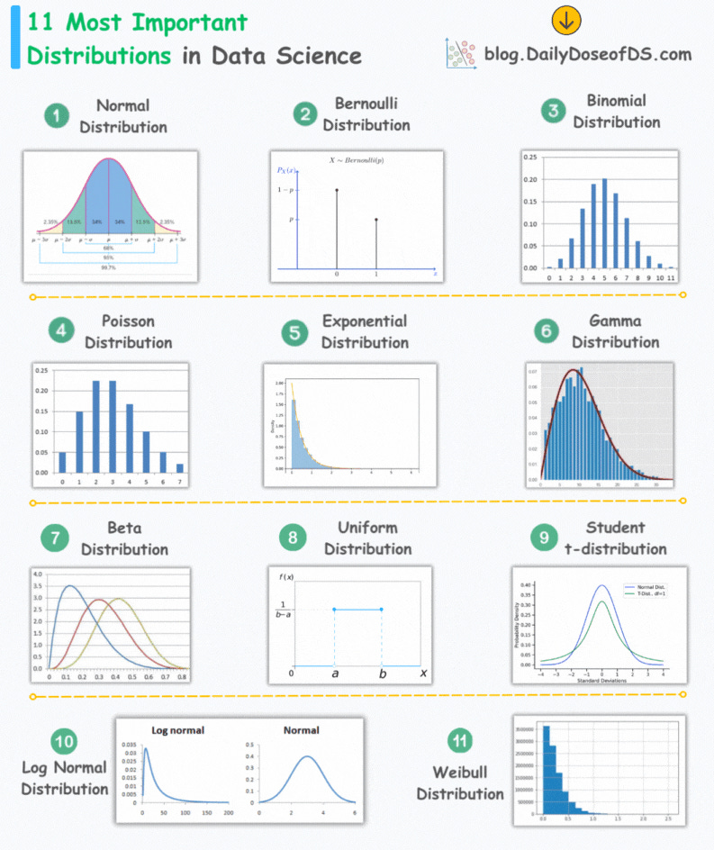 11 Key Probability Distributions in Data Science