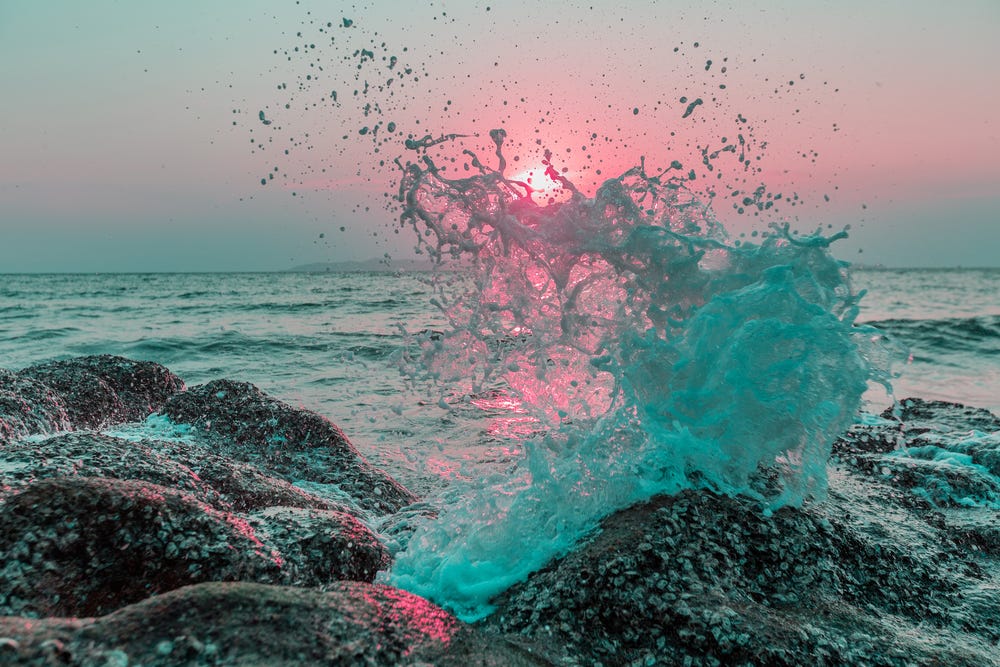 The One Essential Quality - by River Kenna - Inner Wilds