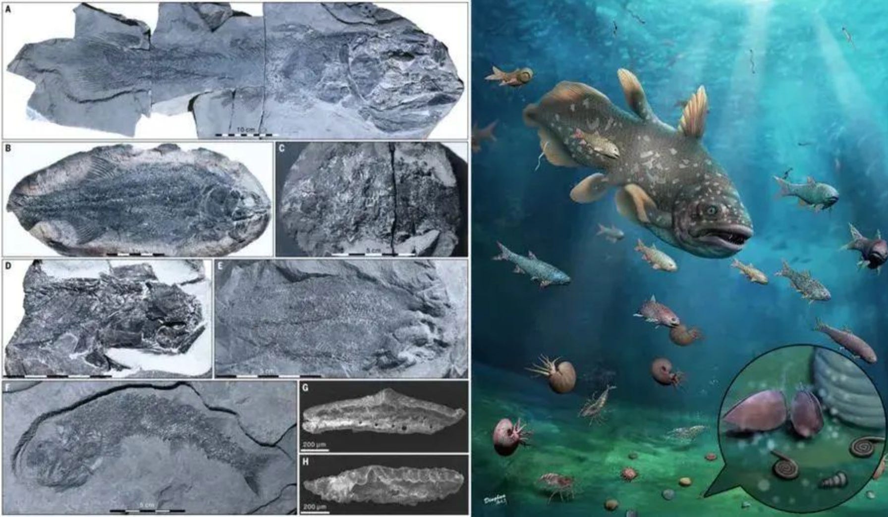 Two Findings: Ancient migration from China to America and Japan; Modern ...