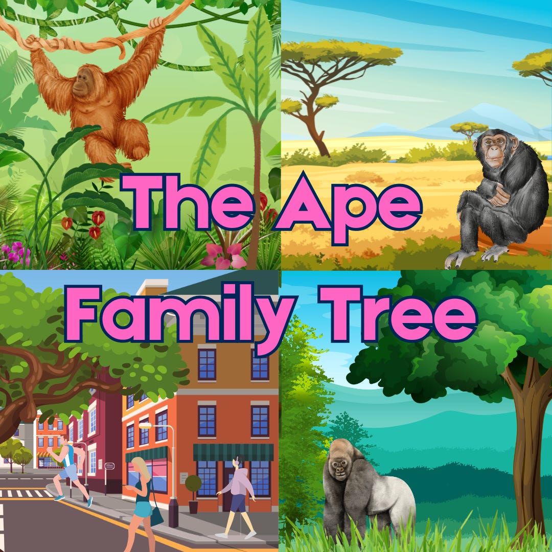 The Ape Family Tree - by Hannah Rose - Animal Anthology
