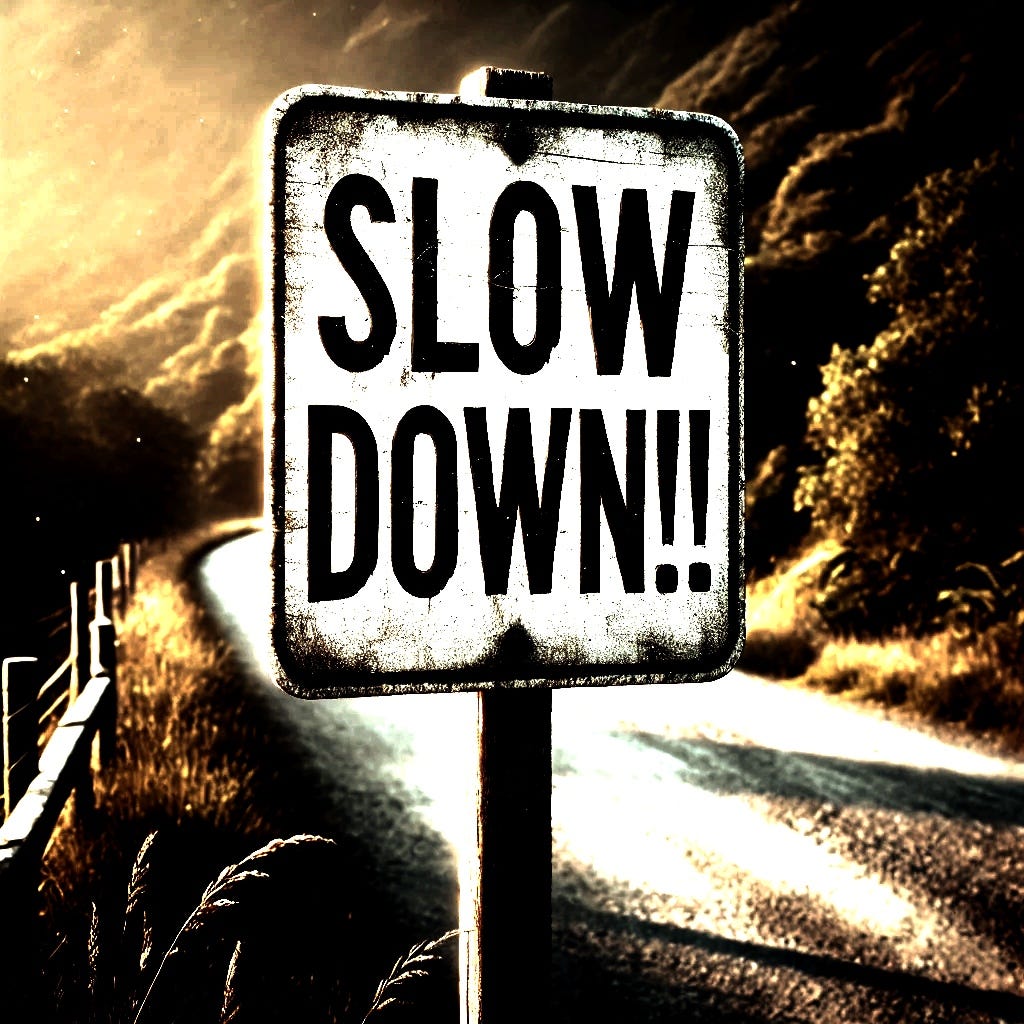 SLOW DOWN!!! - by Emmanuel Oyebisi - Emmanuel’s Substack