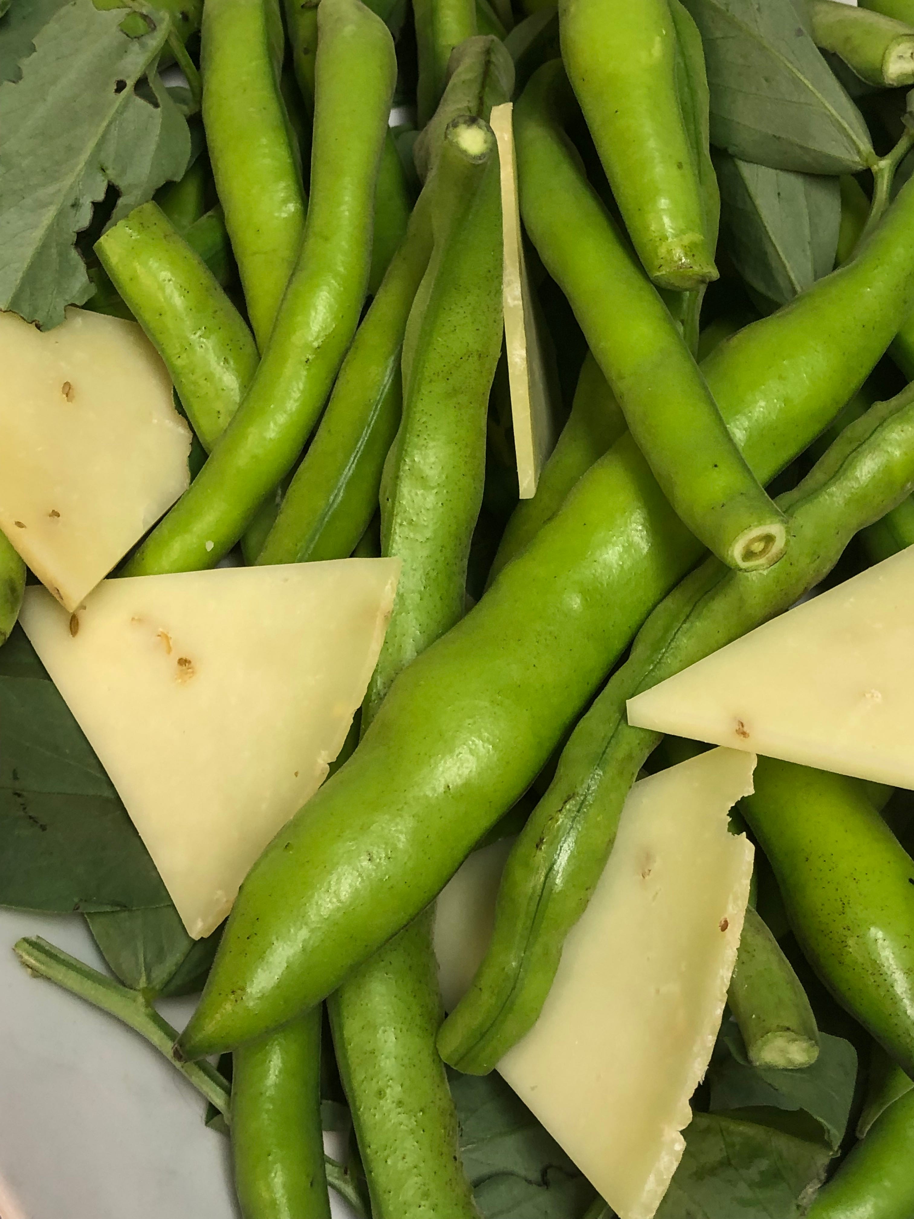 11. Dear Gran, - lydia christina escribe