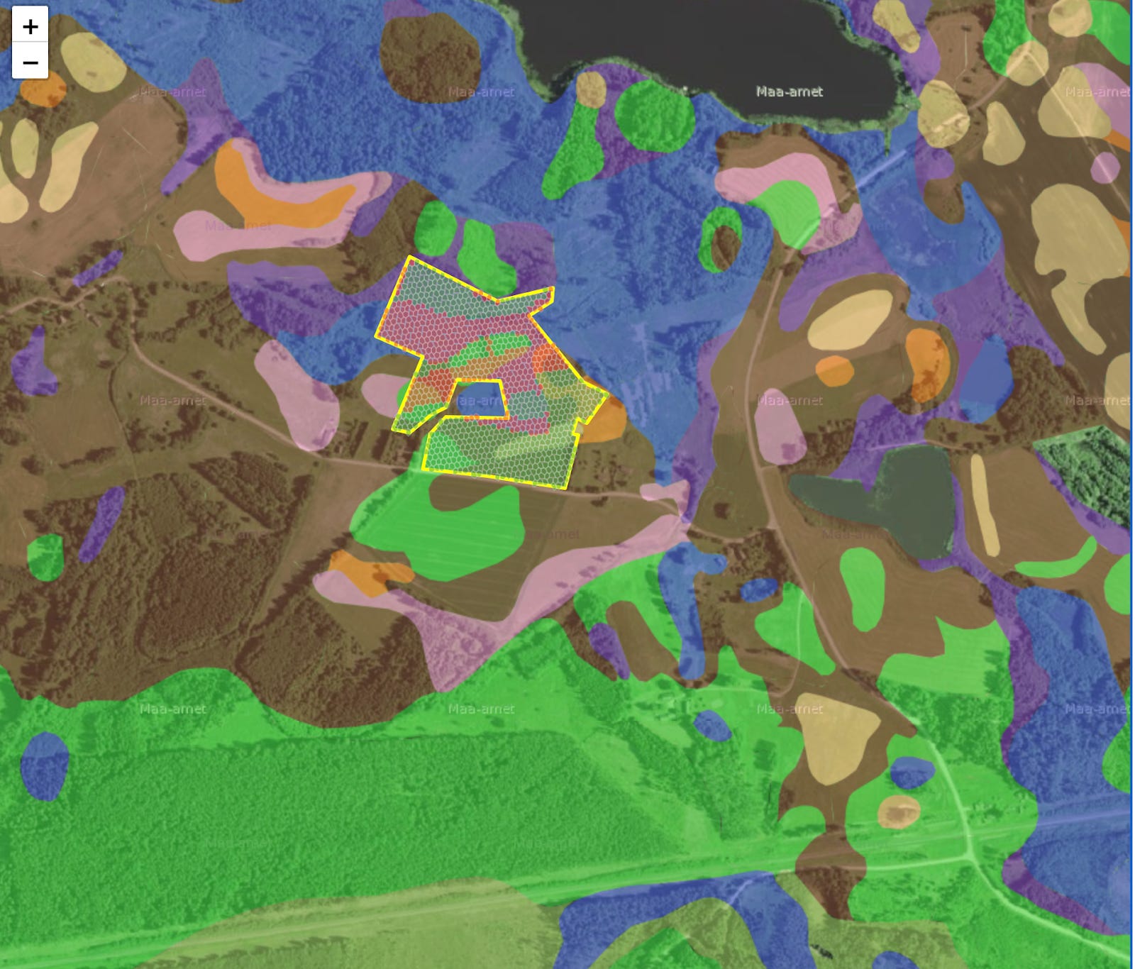 Decoding Carbon Credits: The Importance of Measuring Nature