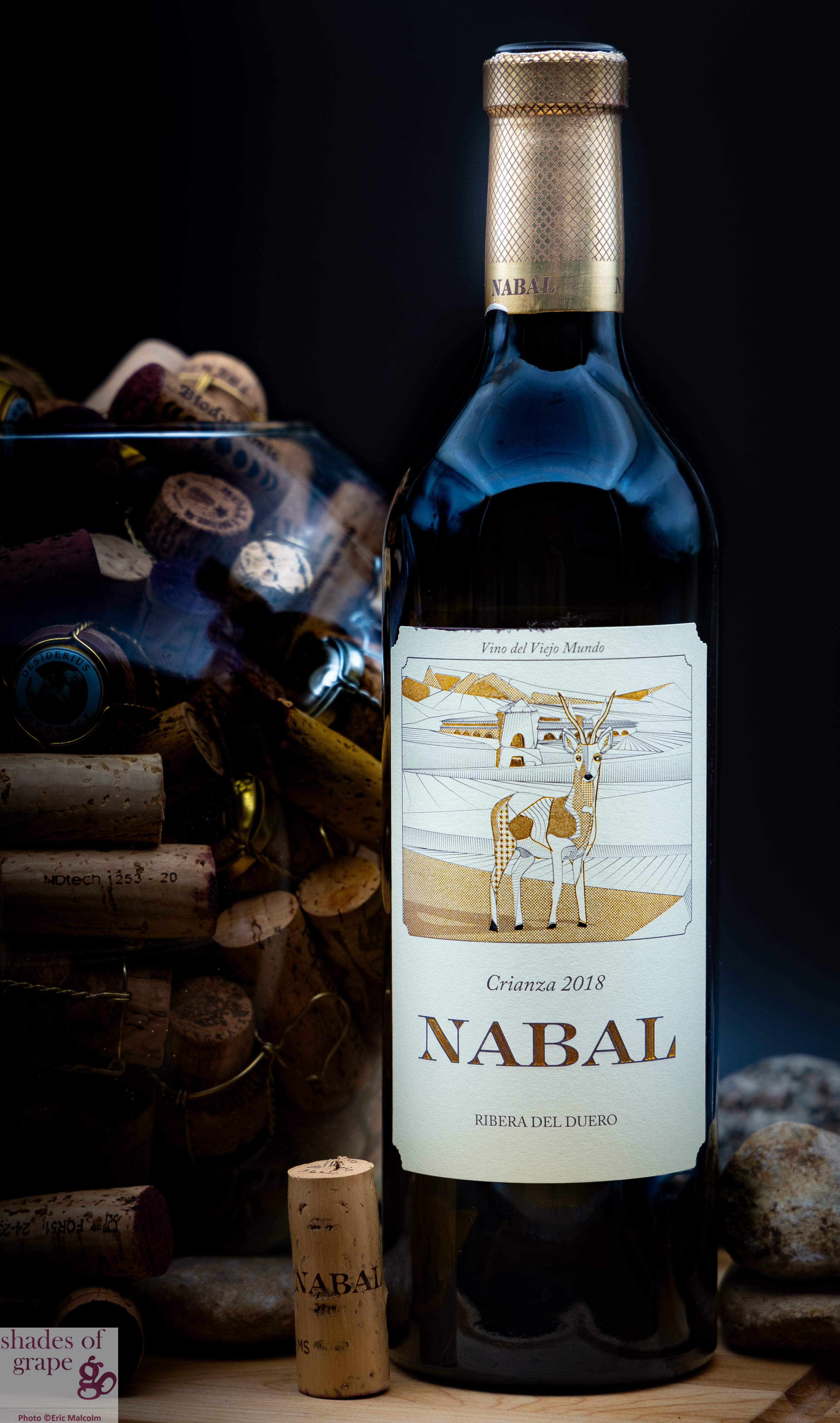 Savoring Spain: Tempranillo from Ribera del Duero's Terroir!