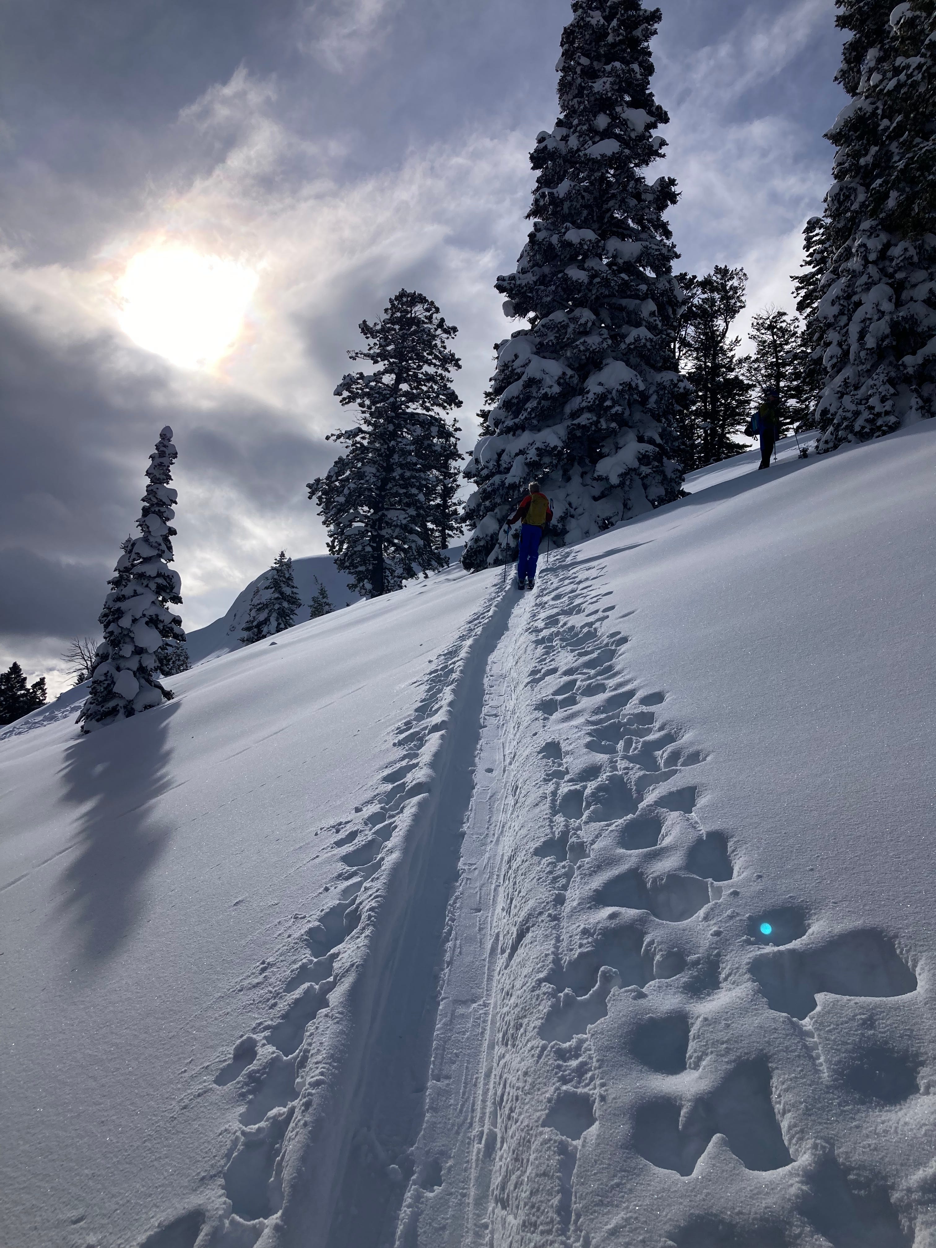 Greetings from the Tetons - Technical Q&A with Lennard Zinn