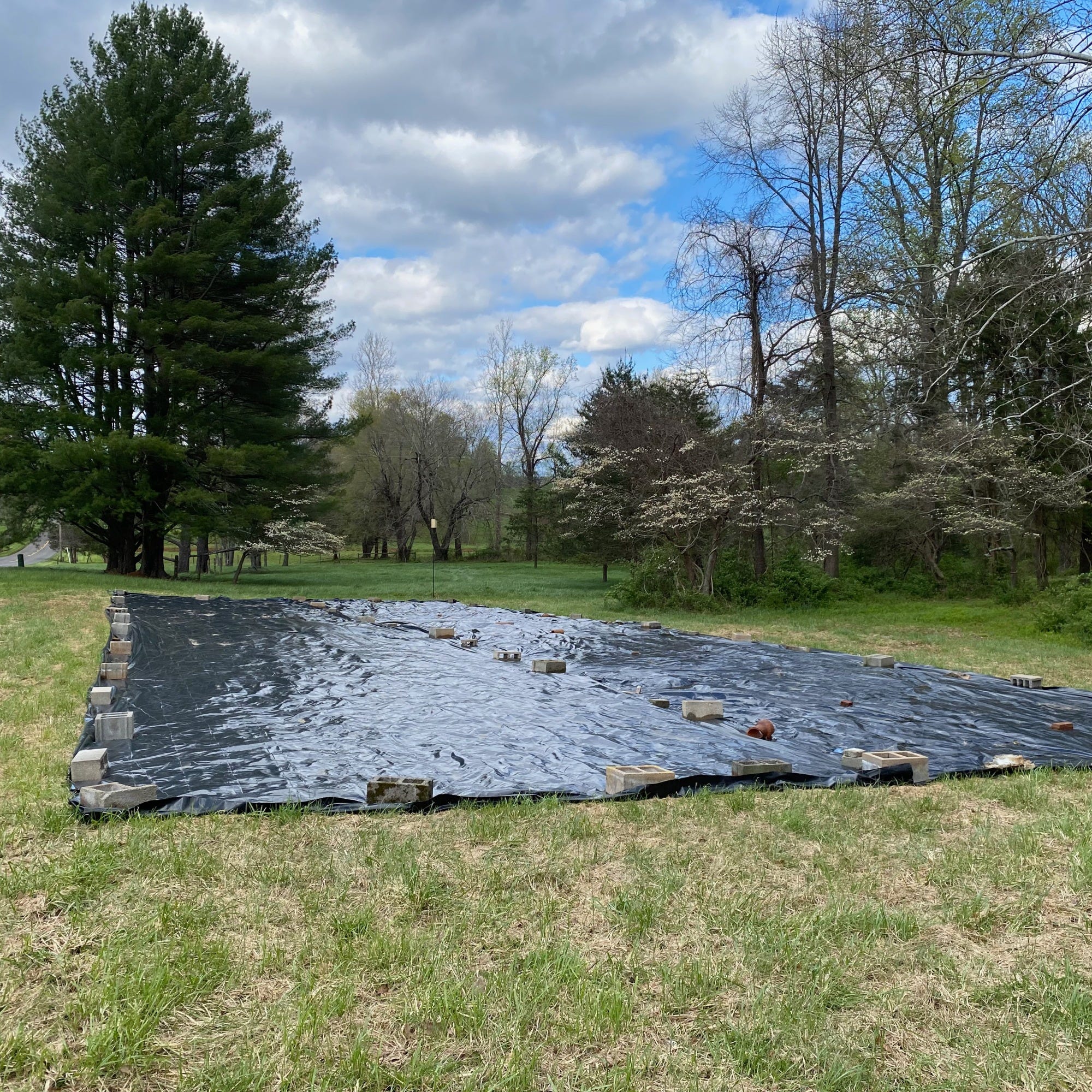 Among the Wildflowers - by Joshua Hatch - Hatchomatic