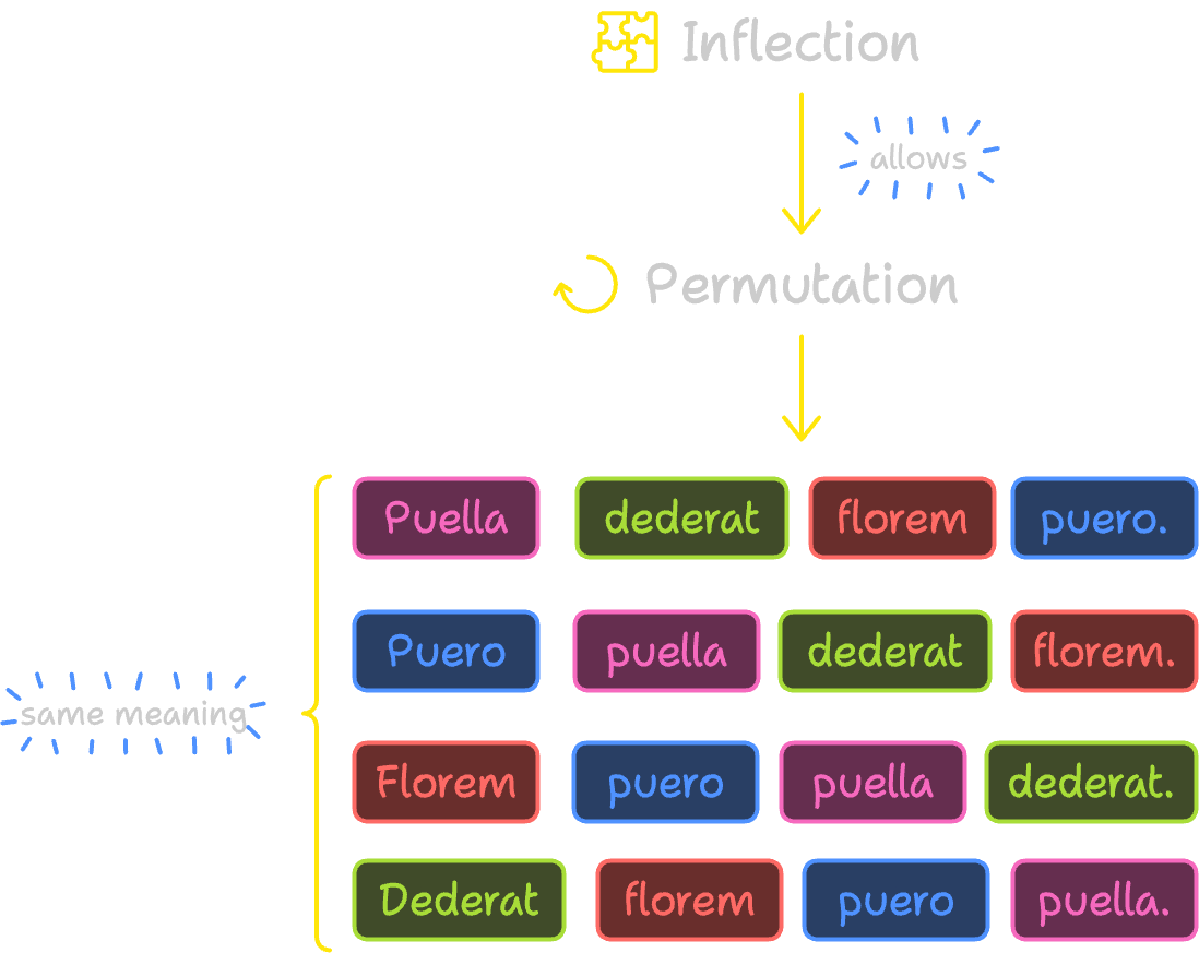 Why Is Latin shorter than English? - Learn Latin