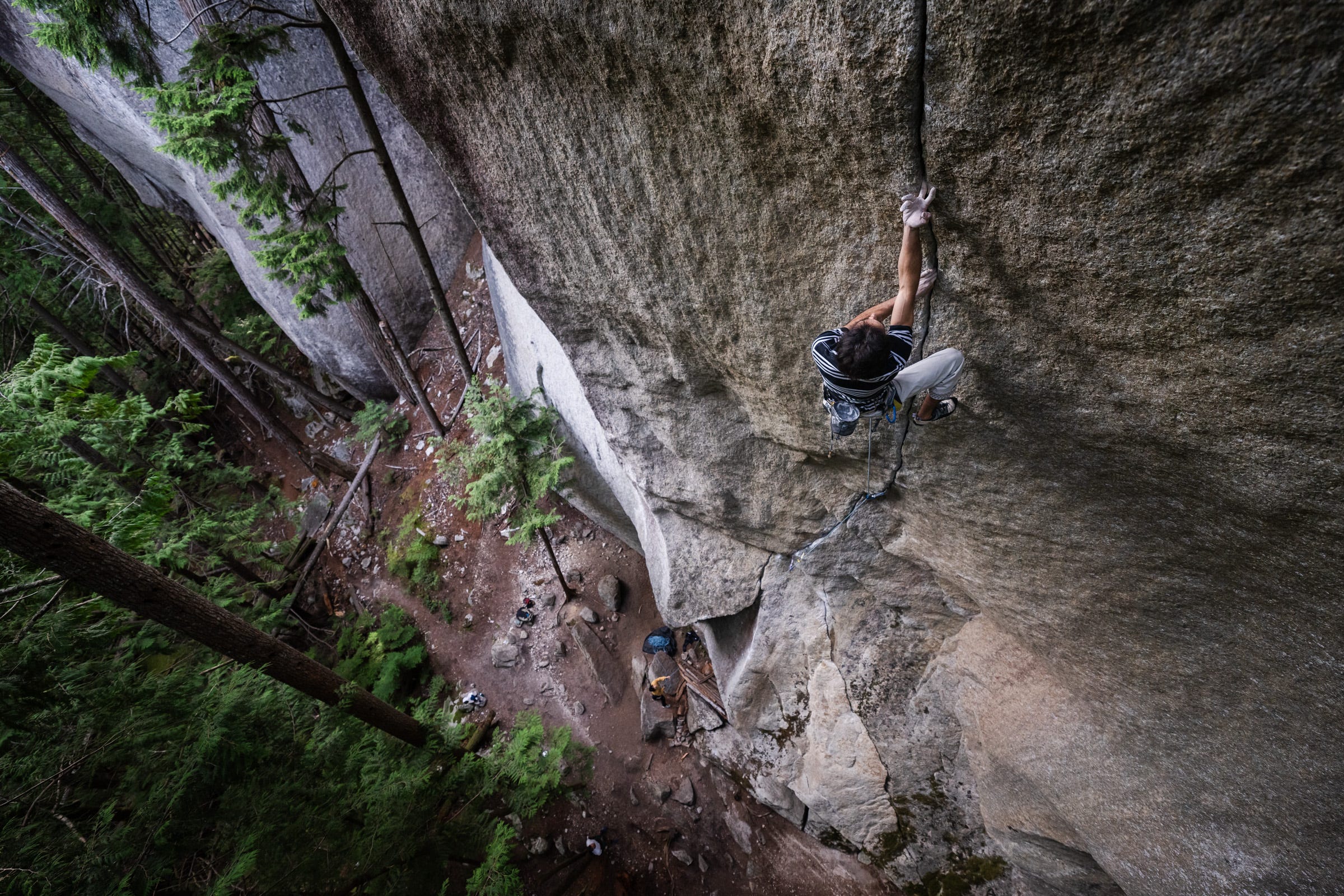 The Cobra Crack - by Ethan Salvo - Ethan’s Substack