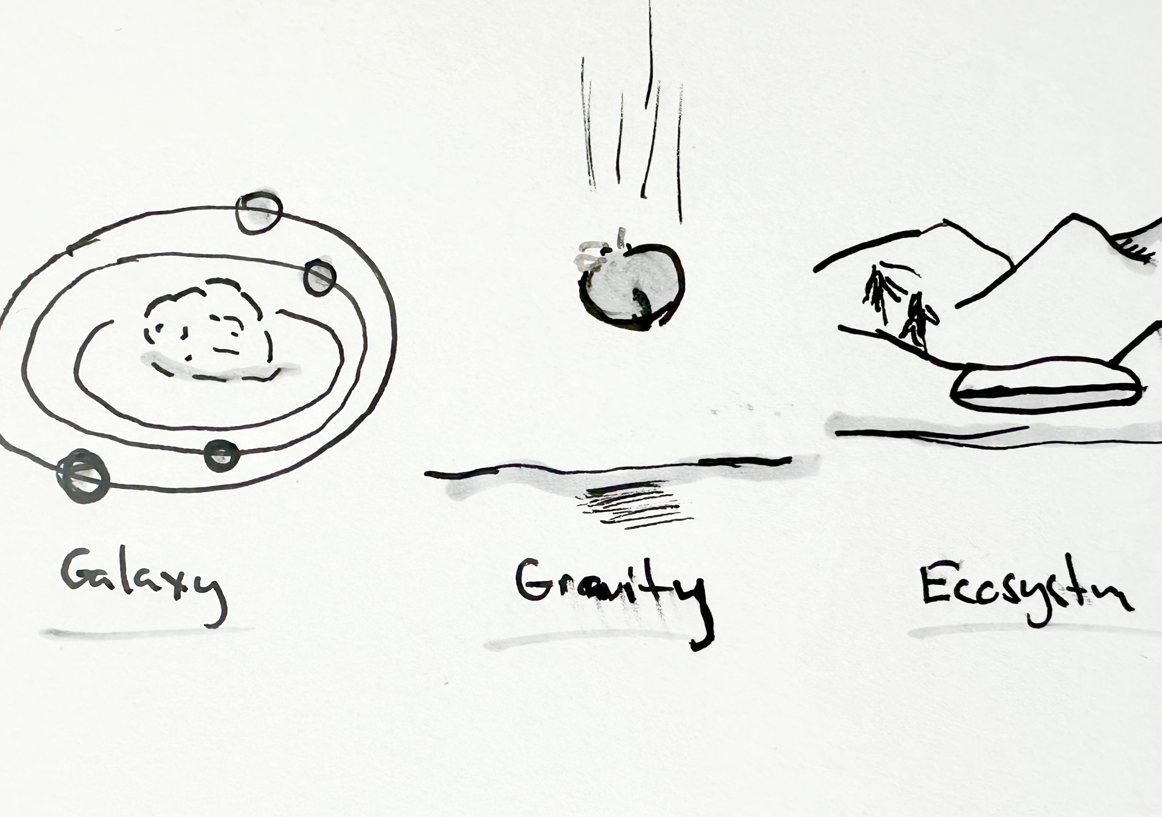 Galaxy Brain, Gravity Brain, and Ecosystem Brain