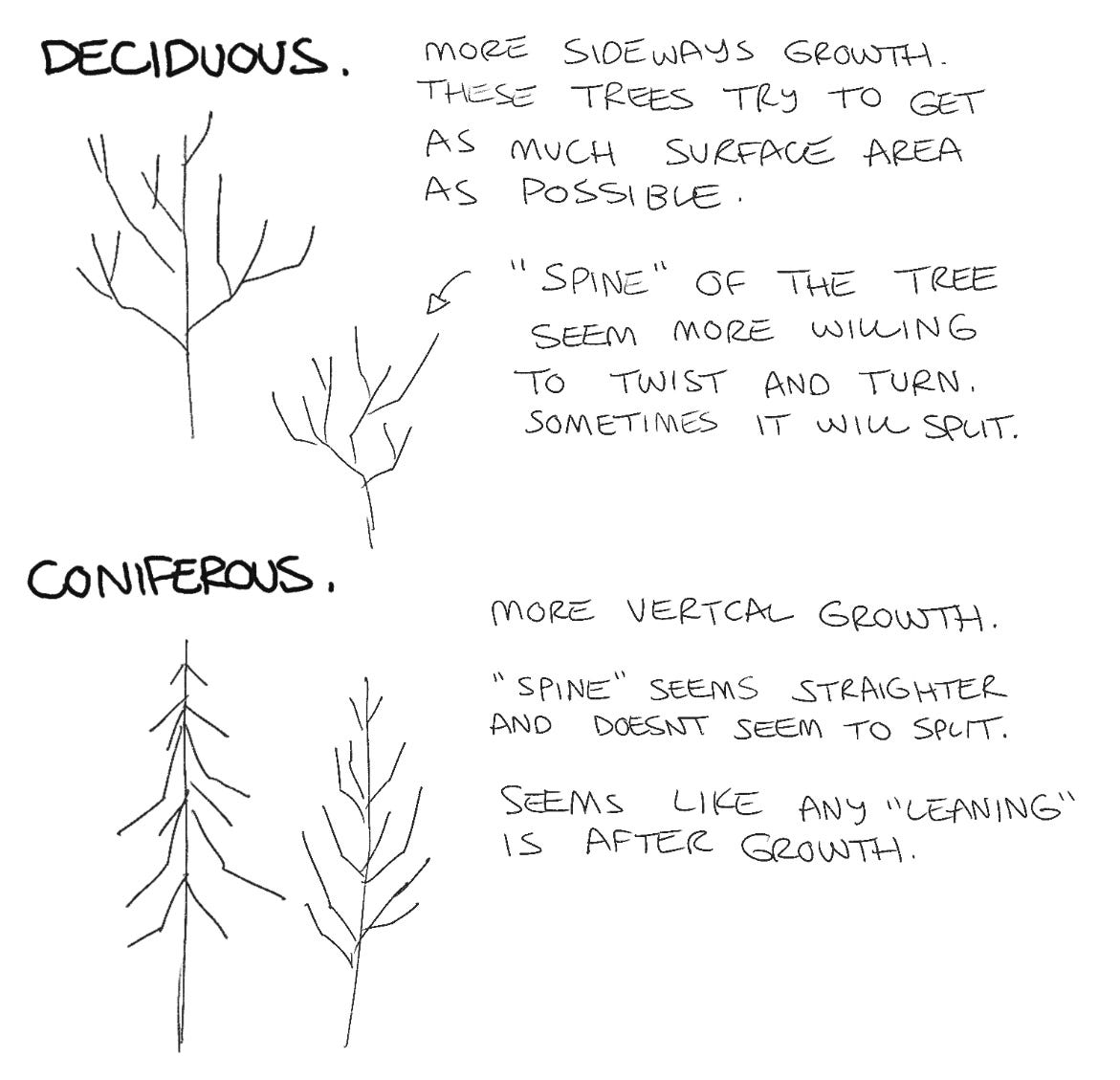 How To Draw A Tree Step By Step With Leaves