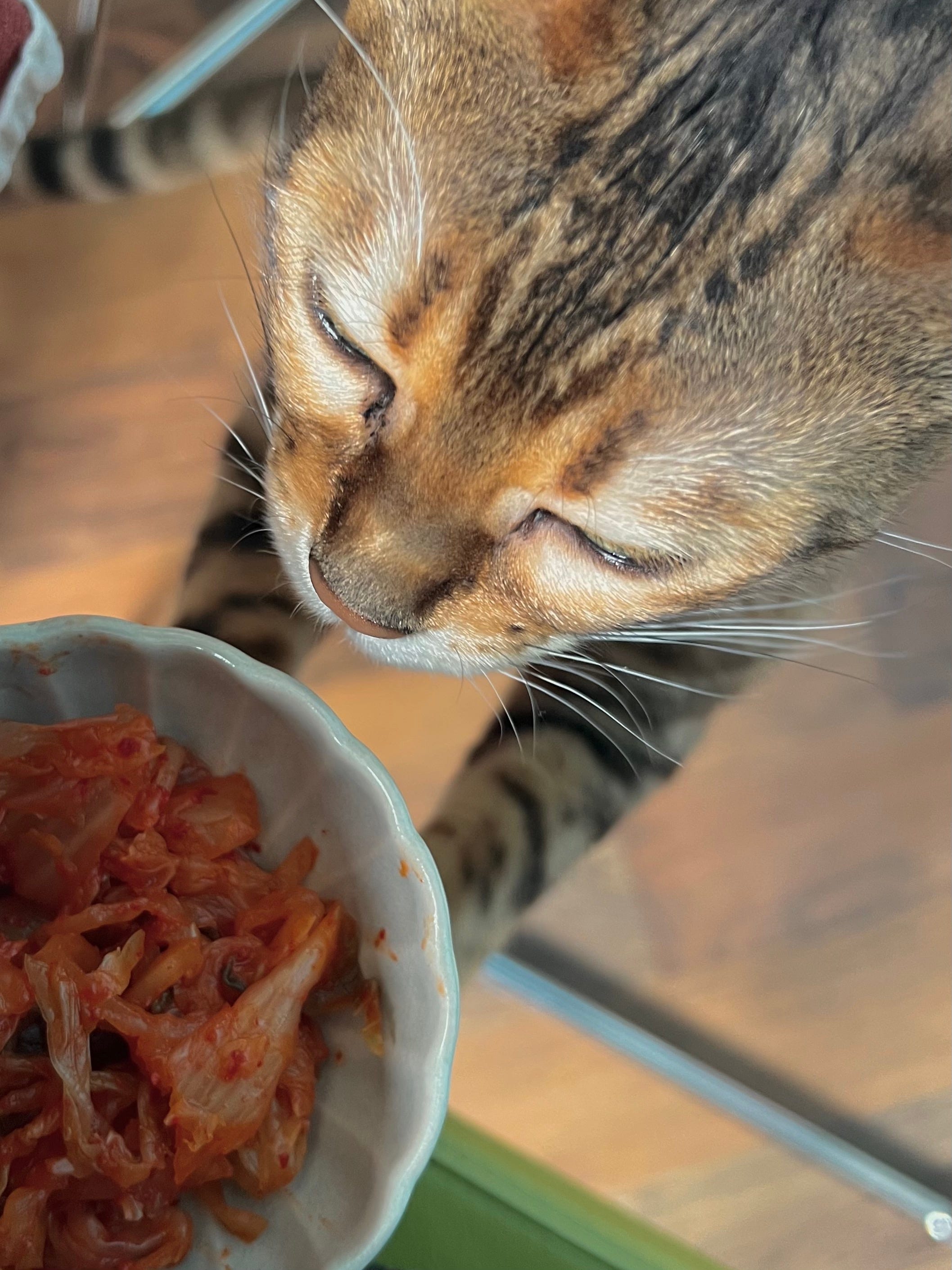 let's talk stews and soups - by Irini - papa /rou /na