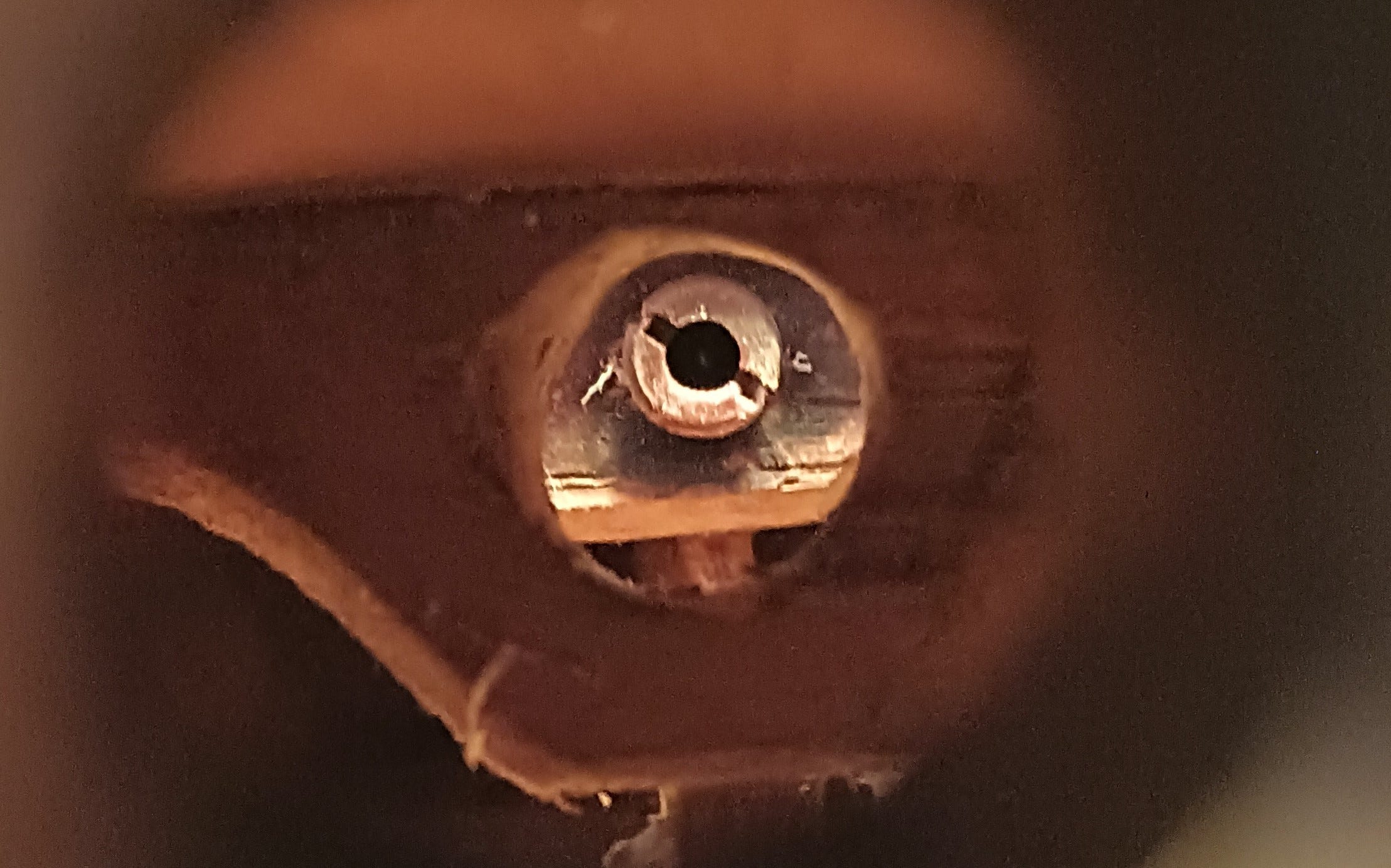 Side Quests and Revelations - by Alden Hackmann