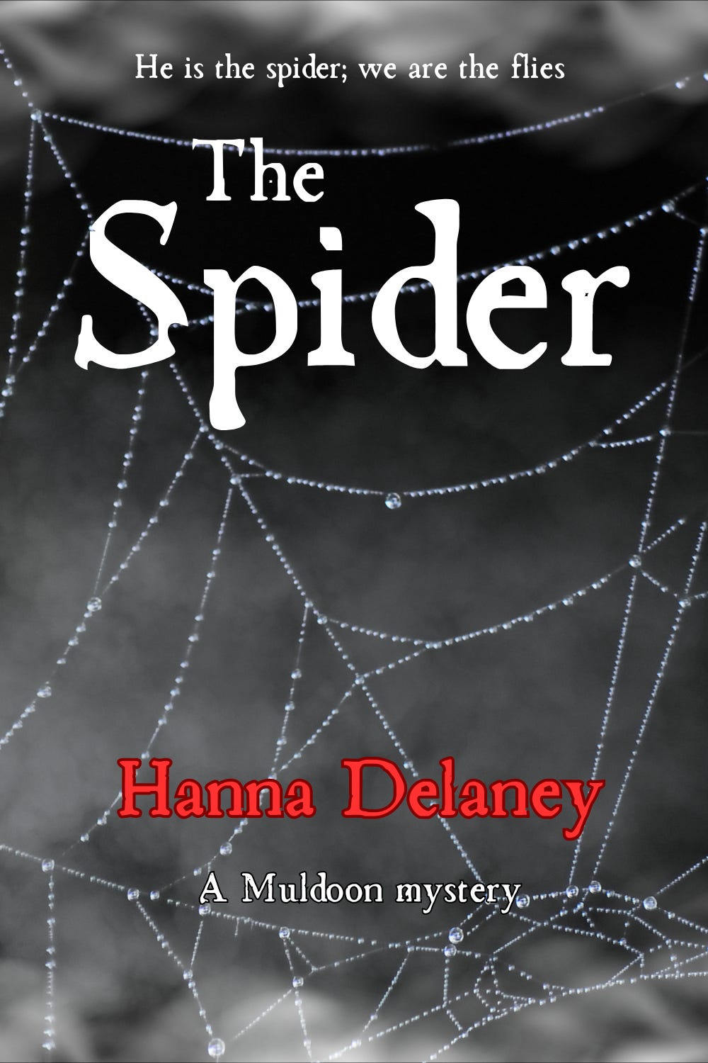 The Spider: A suspenseful gothic horror novel with a murder mystery.