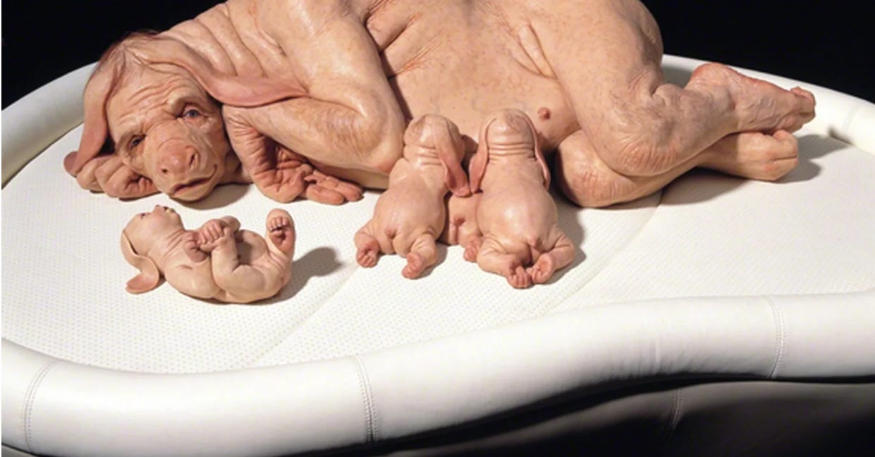 Embracing the Monster - Karafree’s Substack