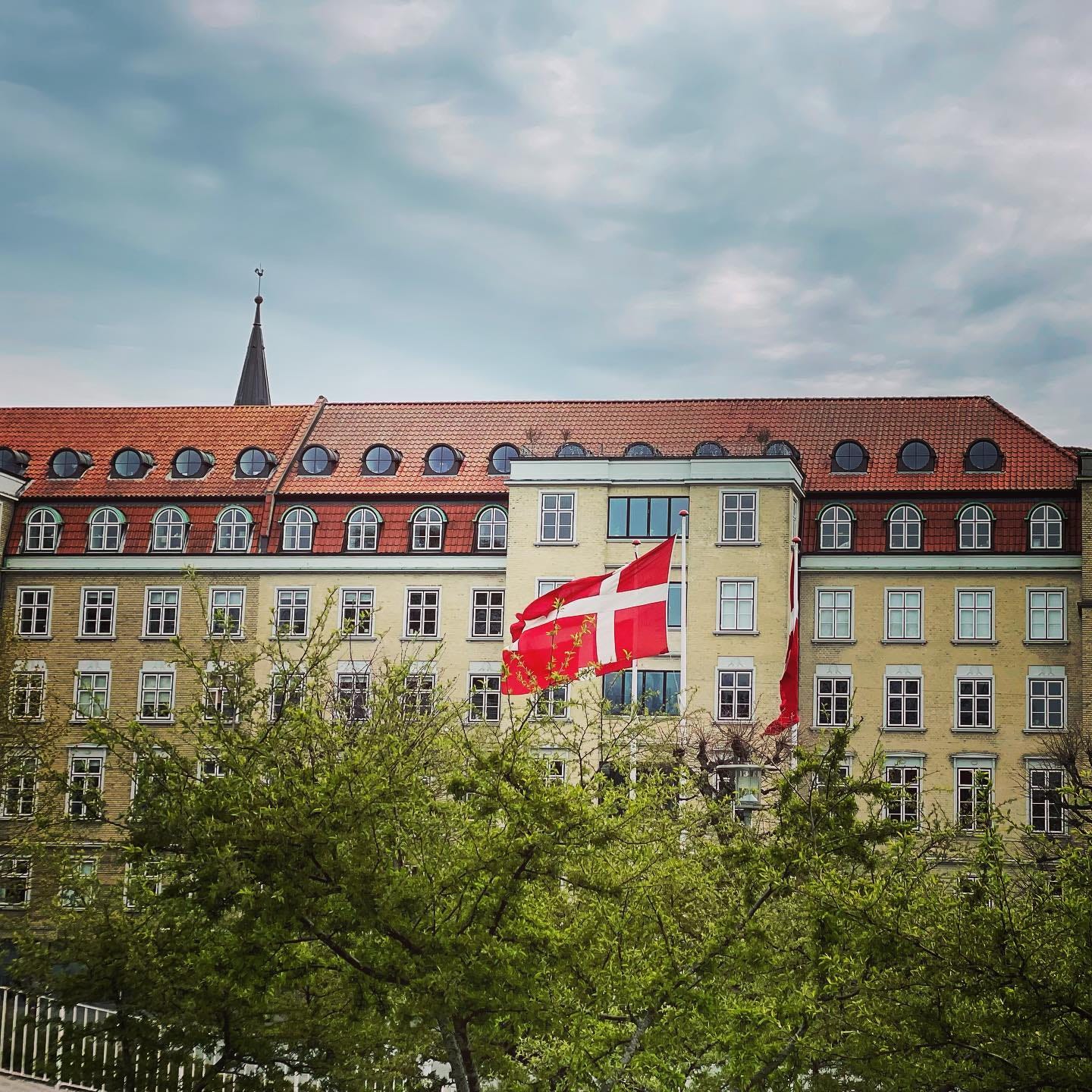 The Danish IQ Test, First in a Series - by Meg Fischer