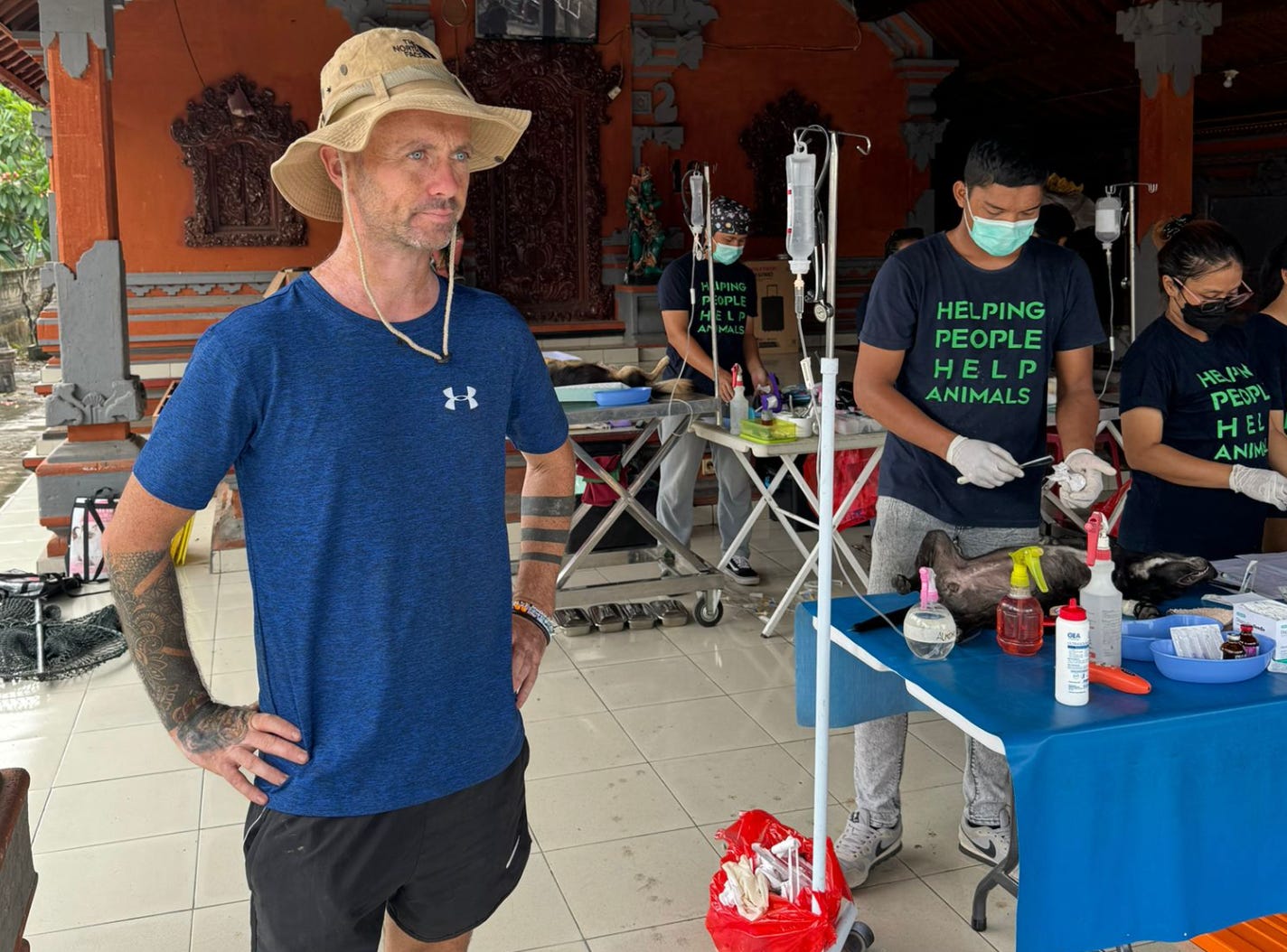 Full Steam Ahead - by Niall Harbison - Happy Doggo