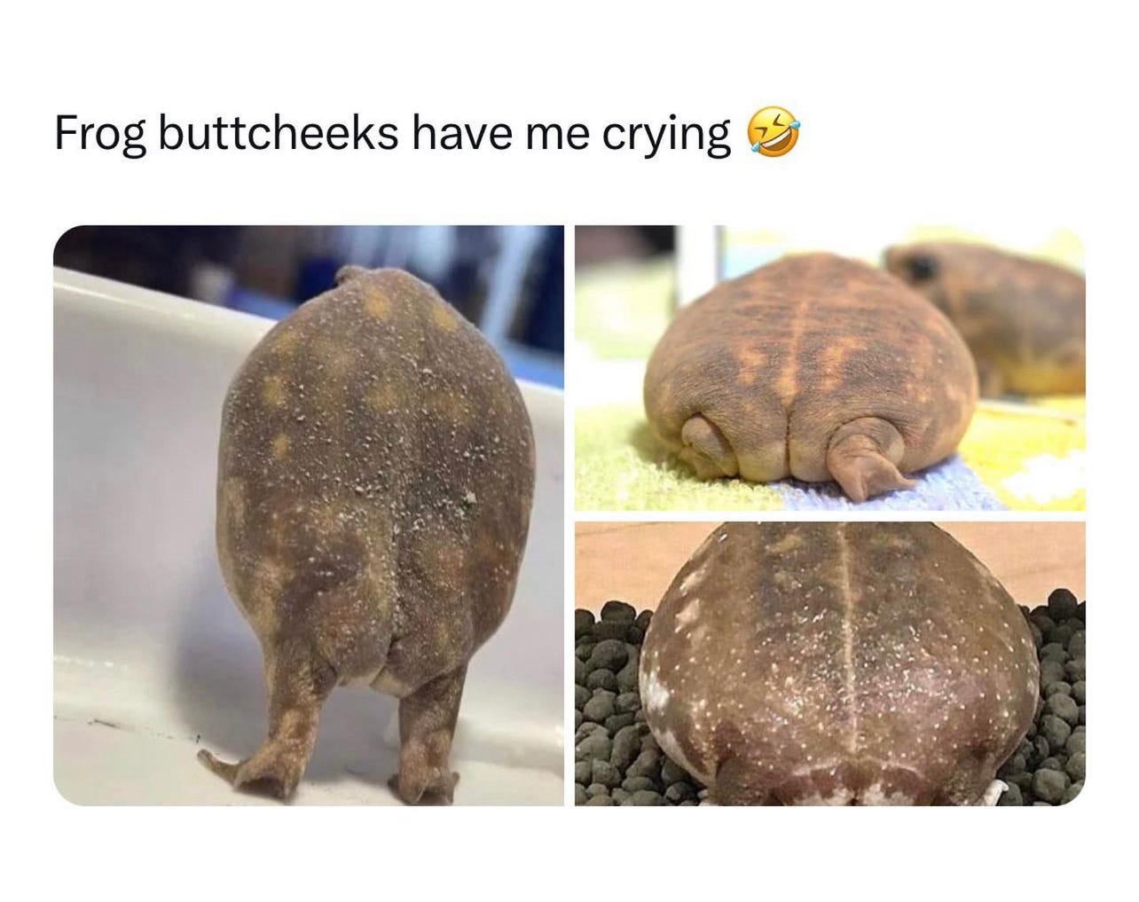 King Of The Hill Luanne Butt