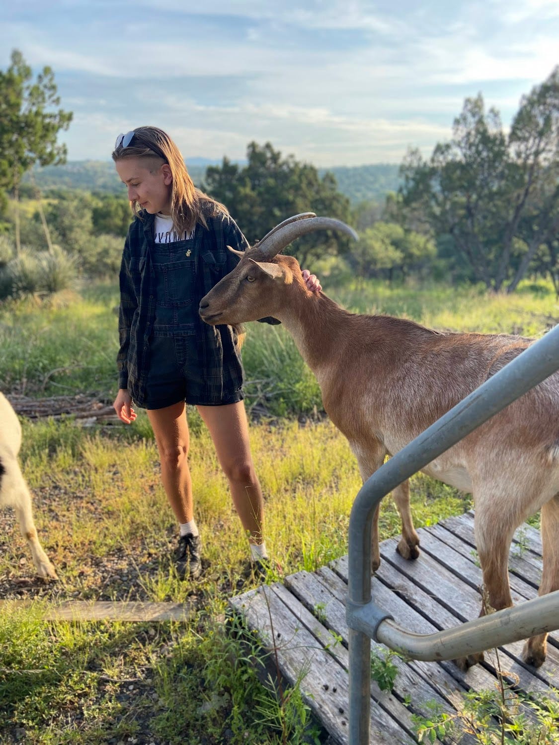 Line Kuzniar | Substack