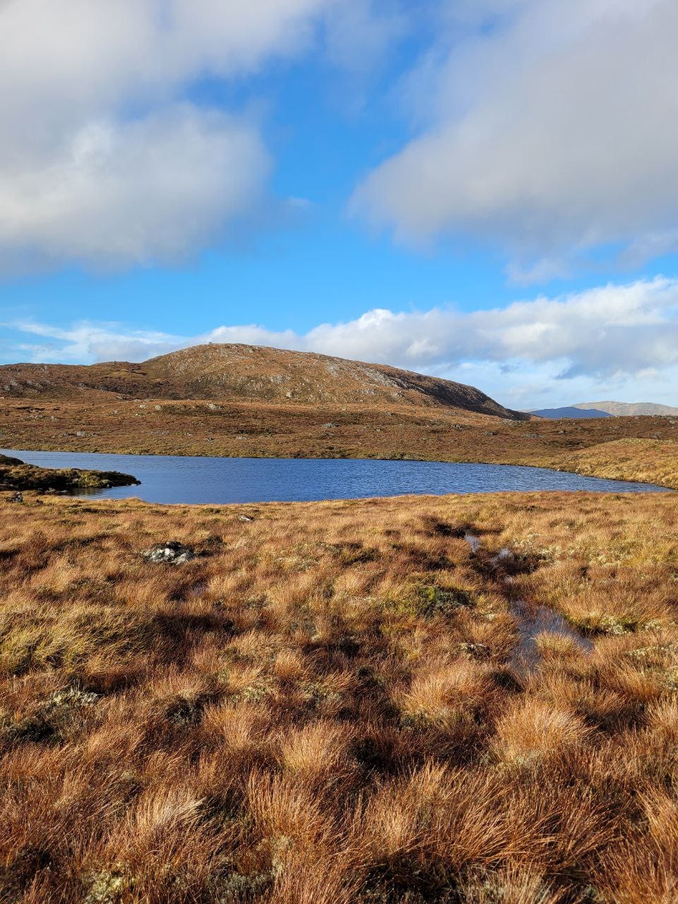A Graham North of Inverness - Green Spaces