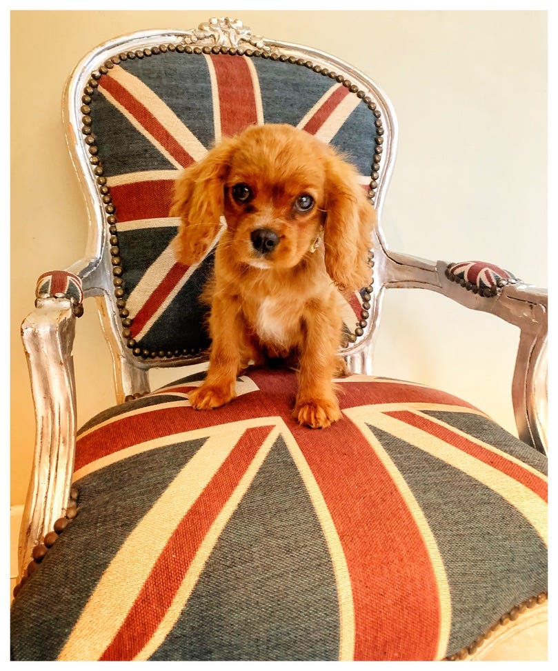 UK Coronation Day - Pomp, Plumes & Processions