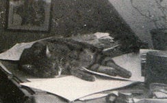 Céline and Bébert: a cat Odyssey - by Clara