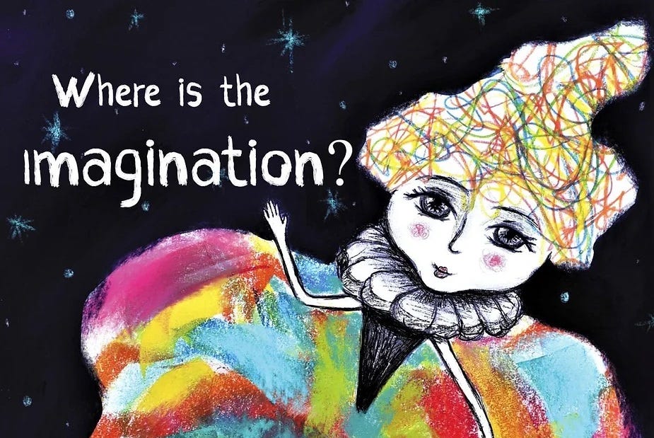 What is imagination activism and why do we need it?