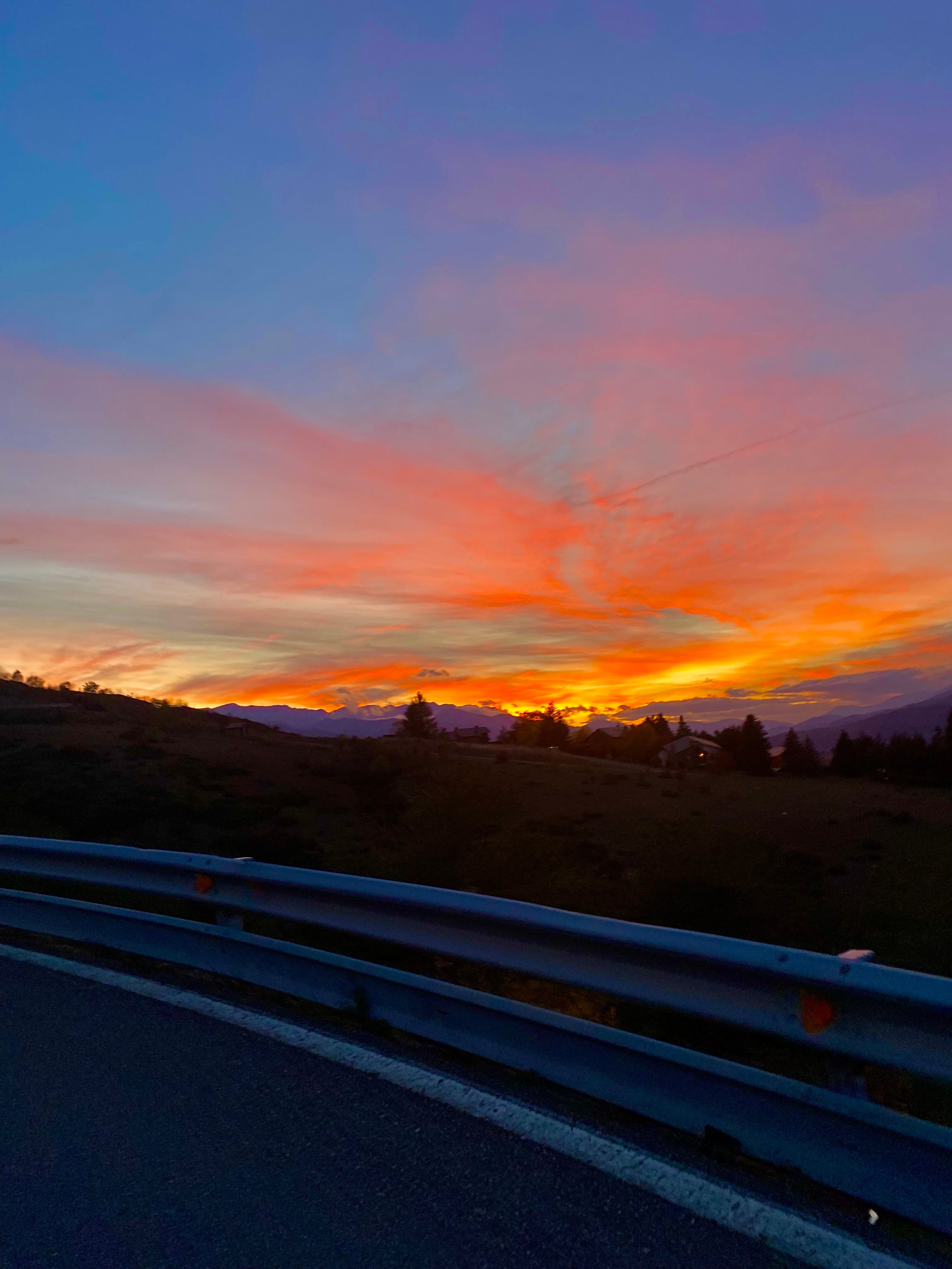 8. Pigs on the Wheel. - by Jake Thorpe