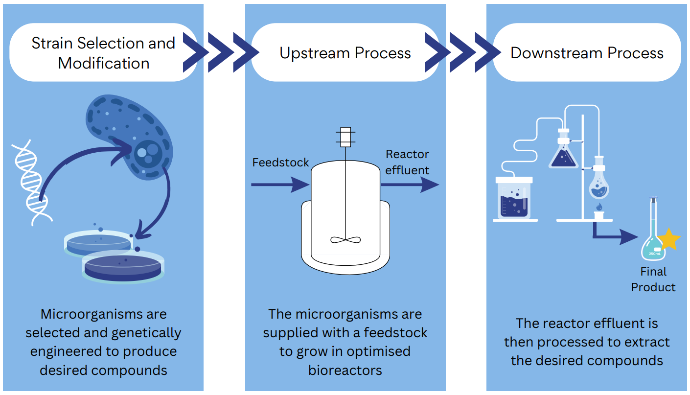 🌱 Your Precision Fermentation 101, and inside Bored Cow's perfect whey ...