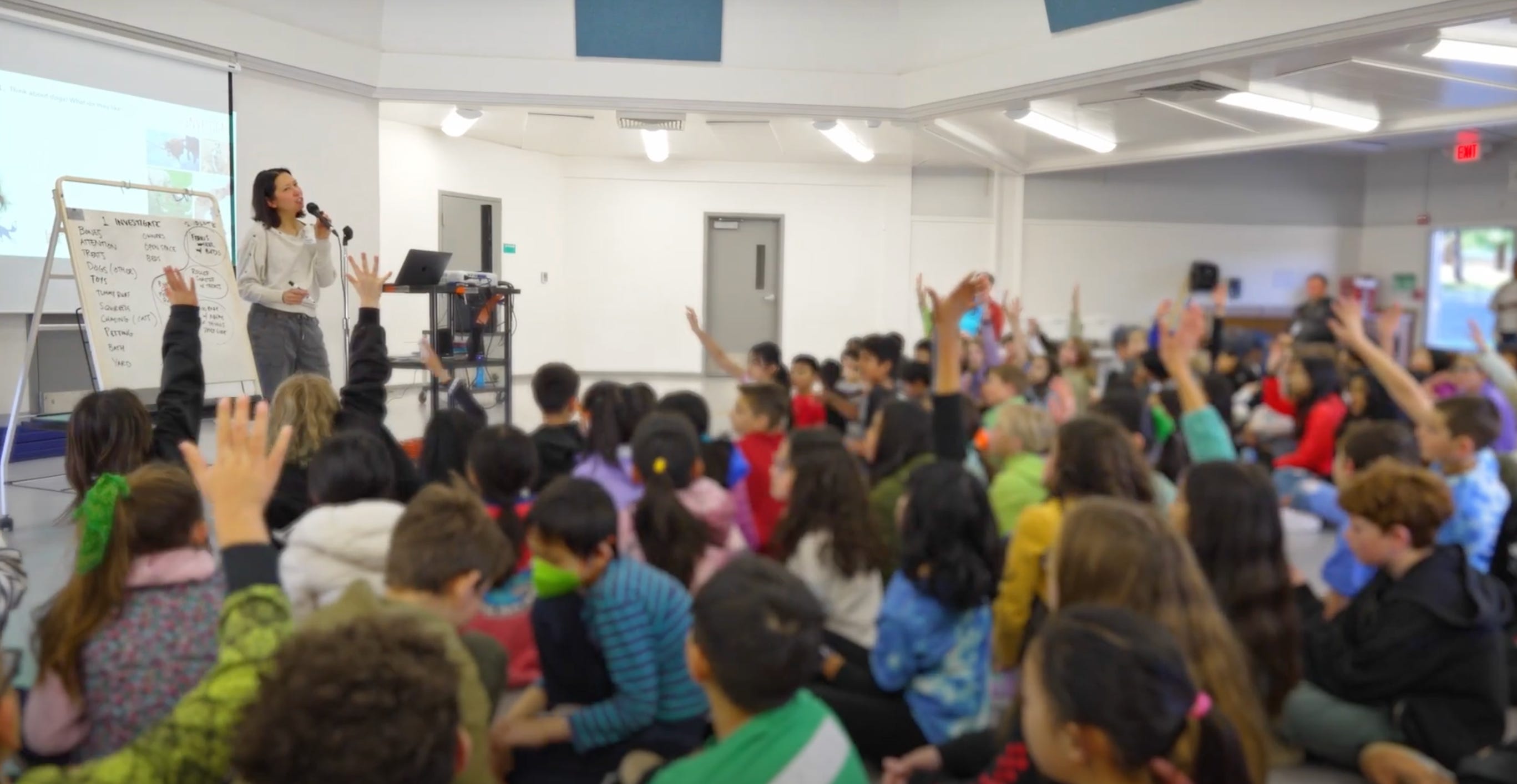 School Visits Part 1: Designing Your Visit - by Vicky Fang