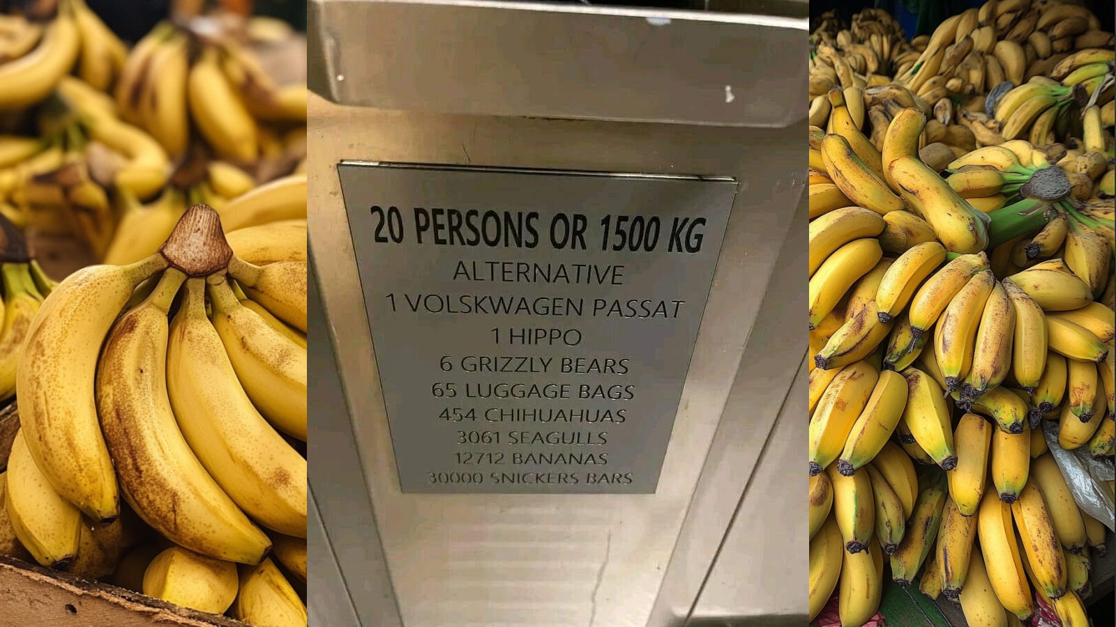 10 Shocking Banana Facts and the Grim Future of Your Favorite Fruit