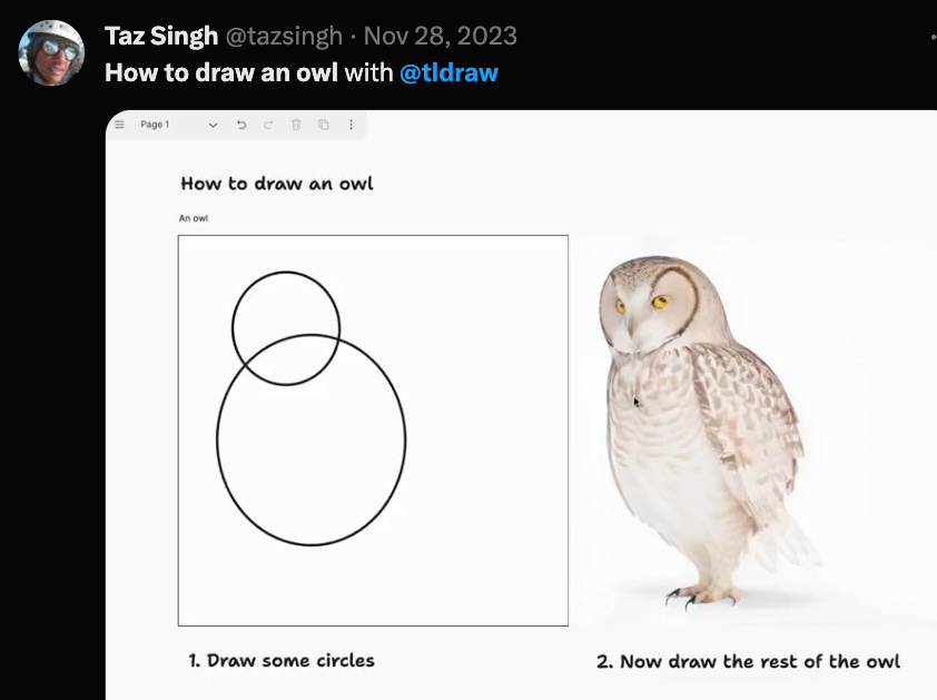 The Accidental AI Canvas - with Steve Ruiz of tldraw