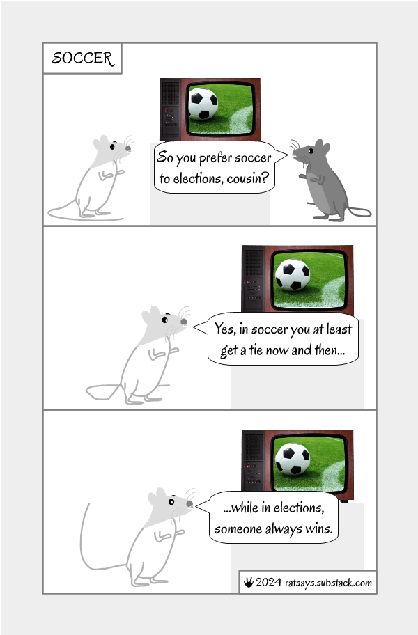 Soccer - Rat Says