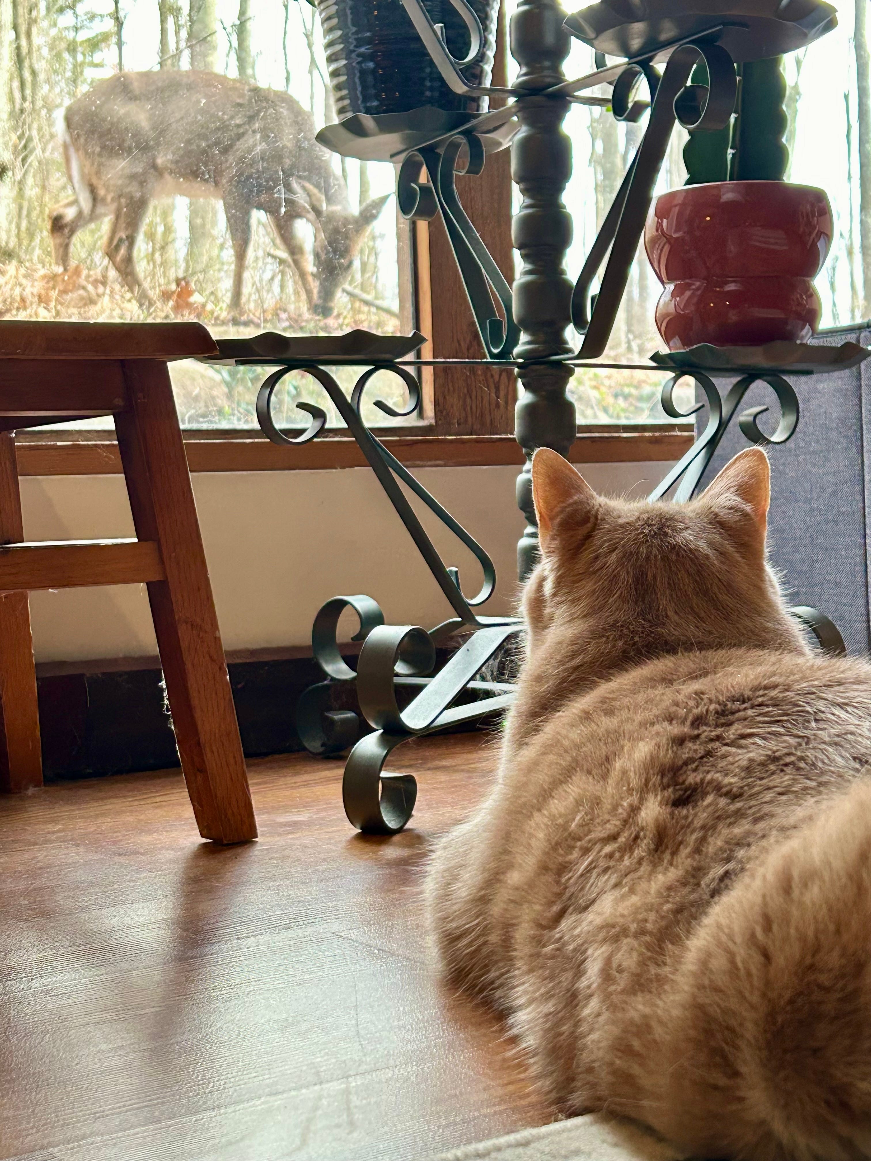 Detaching From Results - by Taishin Michael Augustin