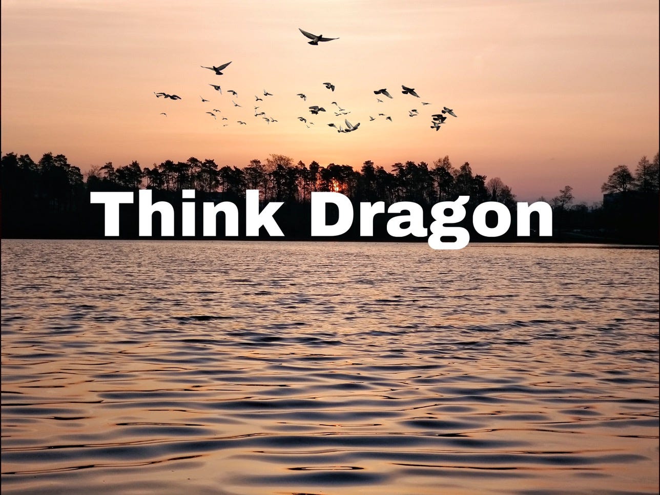 Think Dragon | Substack