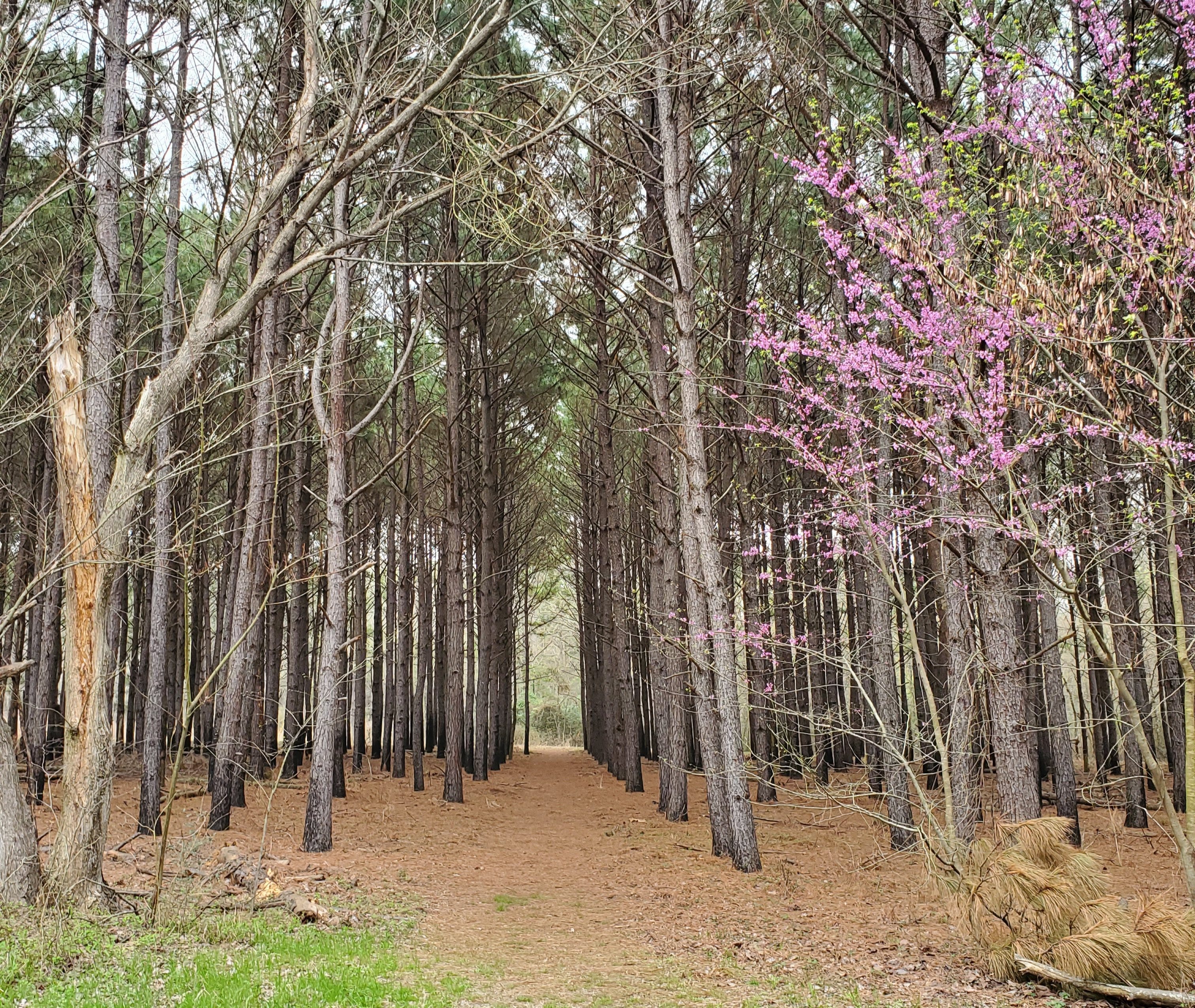 An Overnight Stop at Martin Creek Lake State Park