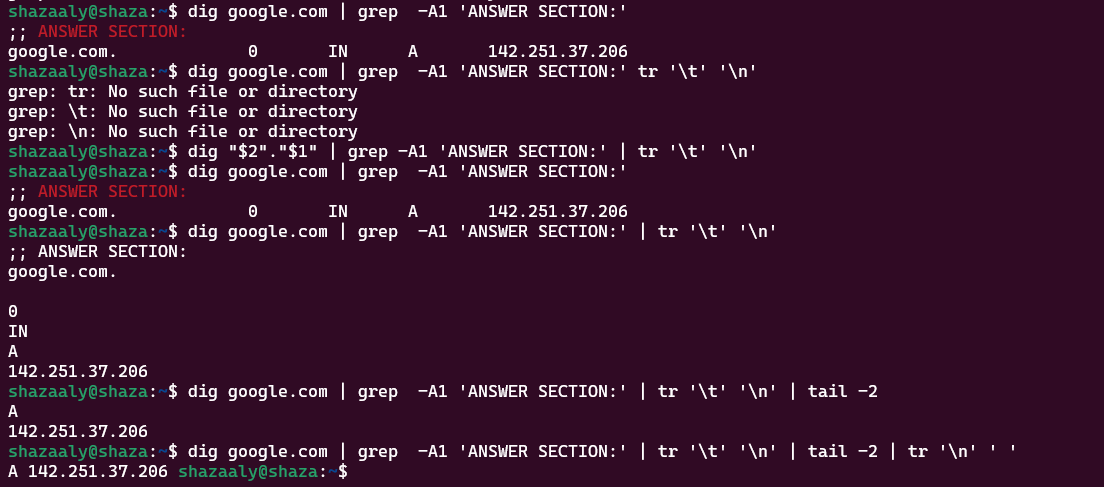 0x10. HTTPS - SSL - by Shaza Ali - Shaza’s Substack