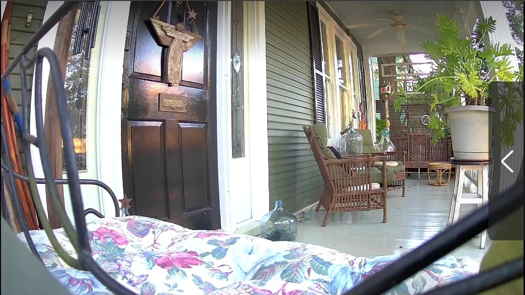 "Fish Sticks" - by Steve Applegate - Steve’s Substack