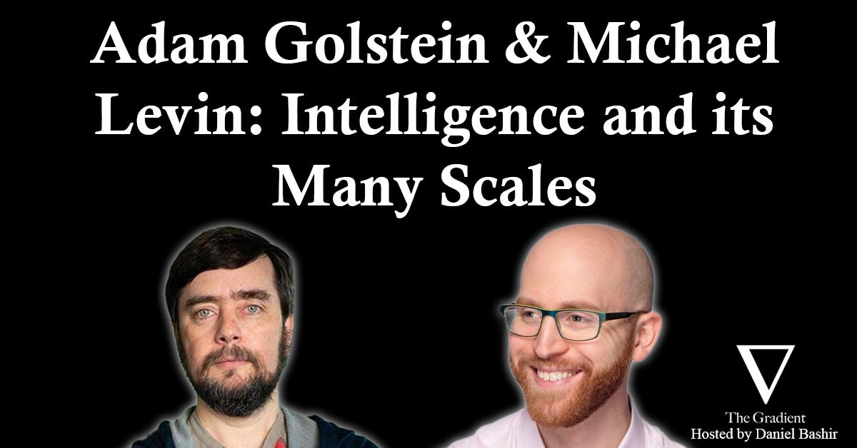 Michael Levin & Adam Goldstein: Intelligence and its Many Scales