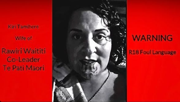 TREASON, SEDITION…HATE SPEECH! - by John McLean