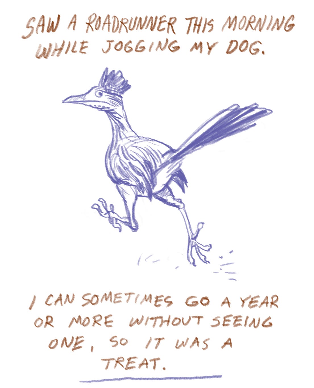 THE ROADRUNNER - by Adam Rex - PICTURE DAY