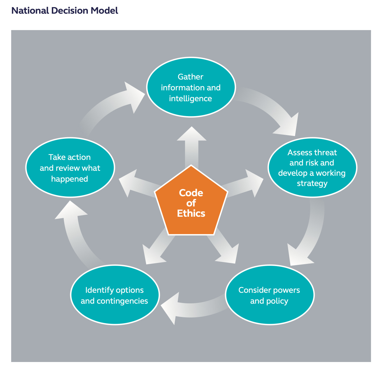 Integrity and Accountability in the Metropolitan Police Service