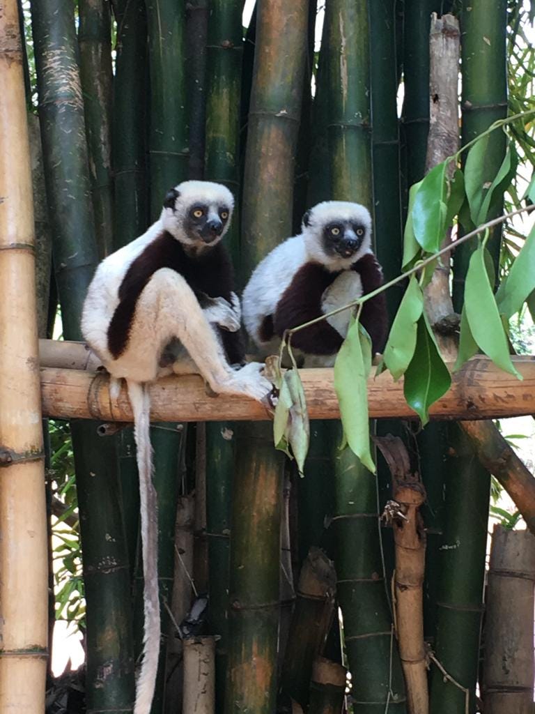 Folklore from Madagascar - Mythological Africans