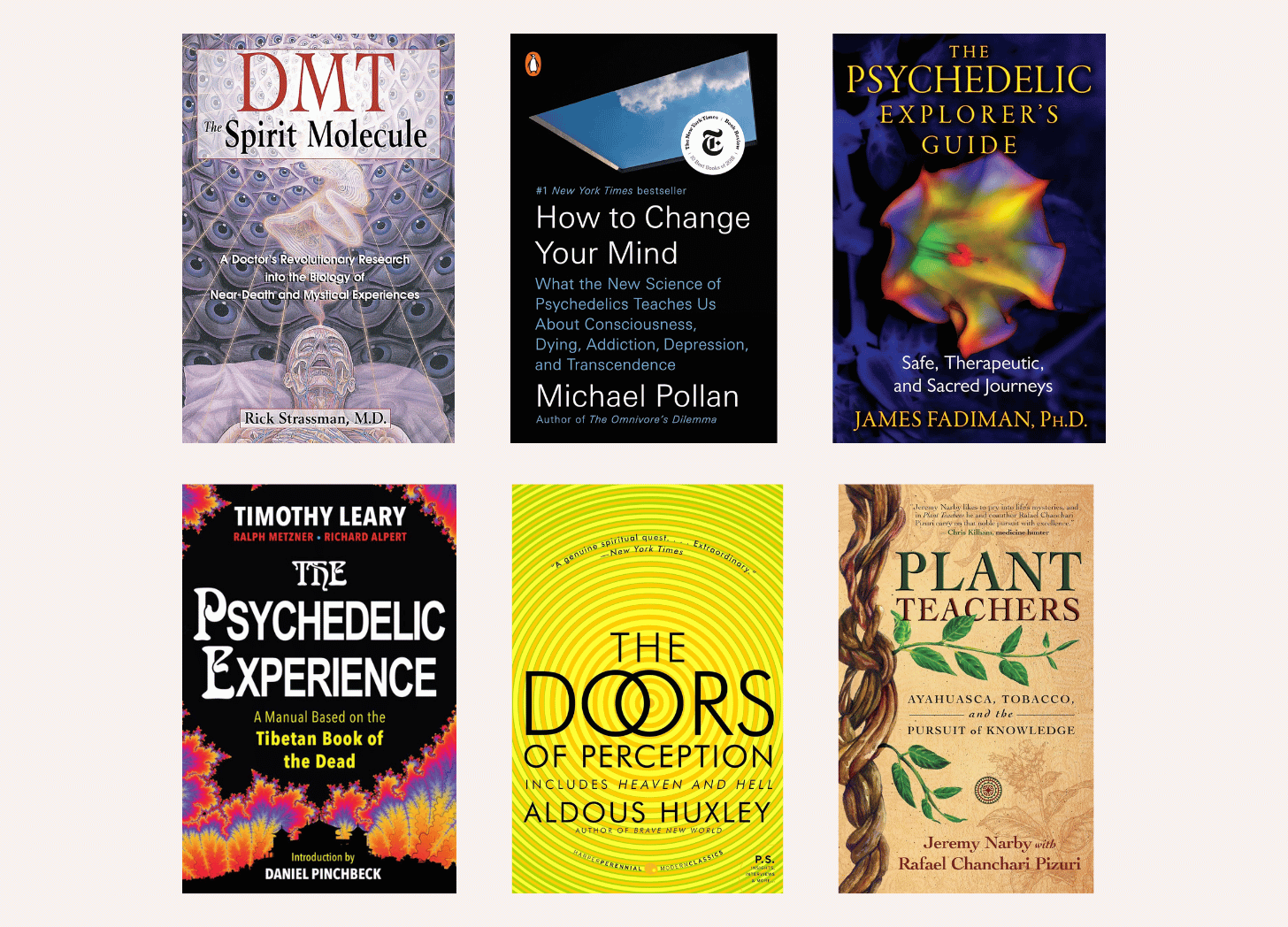 The Psychedelic Bookshelf: What to Read in 2025