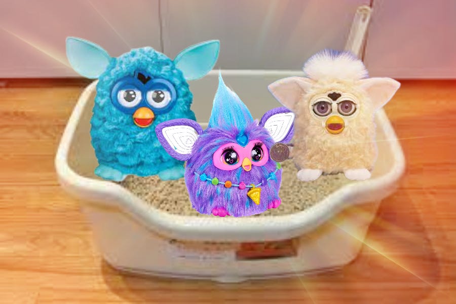 Are Our Schools Being Overrun By Furby Litter Boxes Or Are These Fox ...