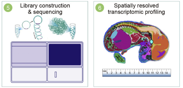 Landscape of Sequencing-based Spatial RNA Technology: Part I