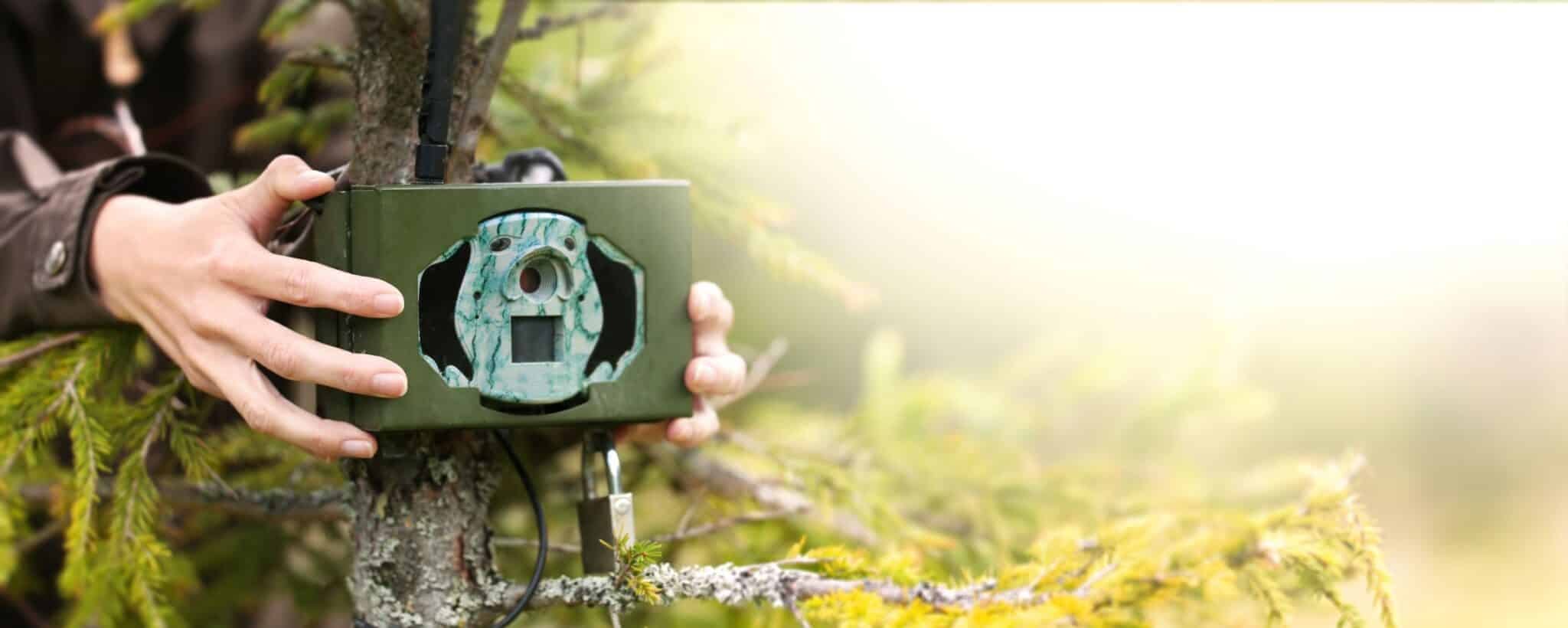 Inside Protect the Wild: why did we create the Protecting the Wild ...