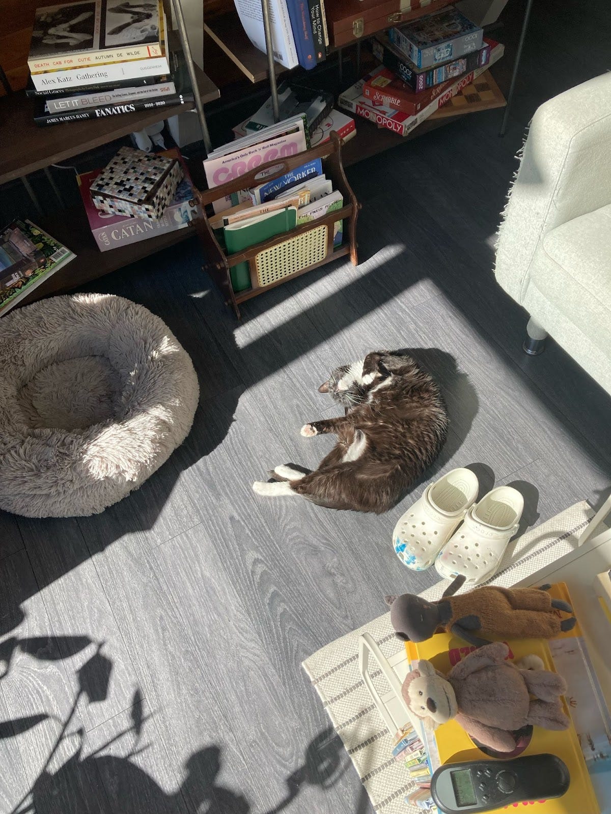 bobcat club b/w carver - by Jacob Ewald - Pause For Effect